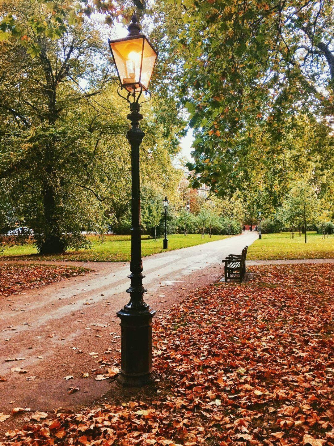 London Fall Wallpapers - Top Free London Fall Backgrounds - WallpaperAccess