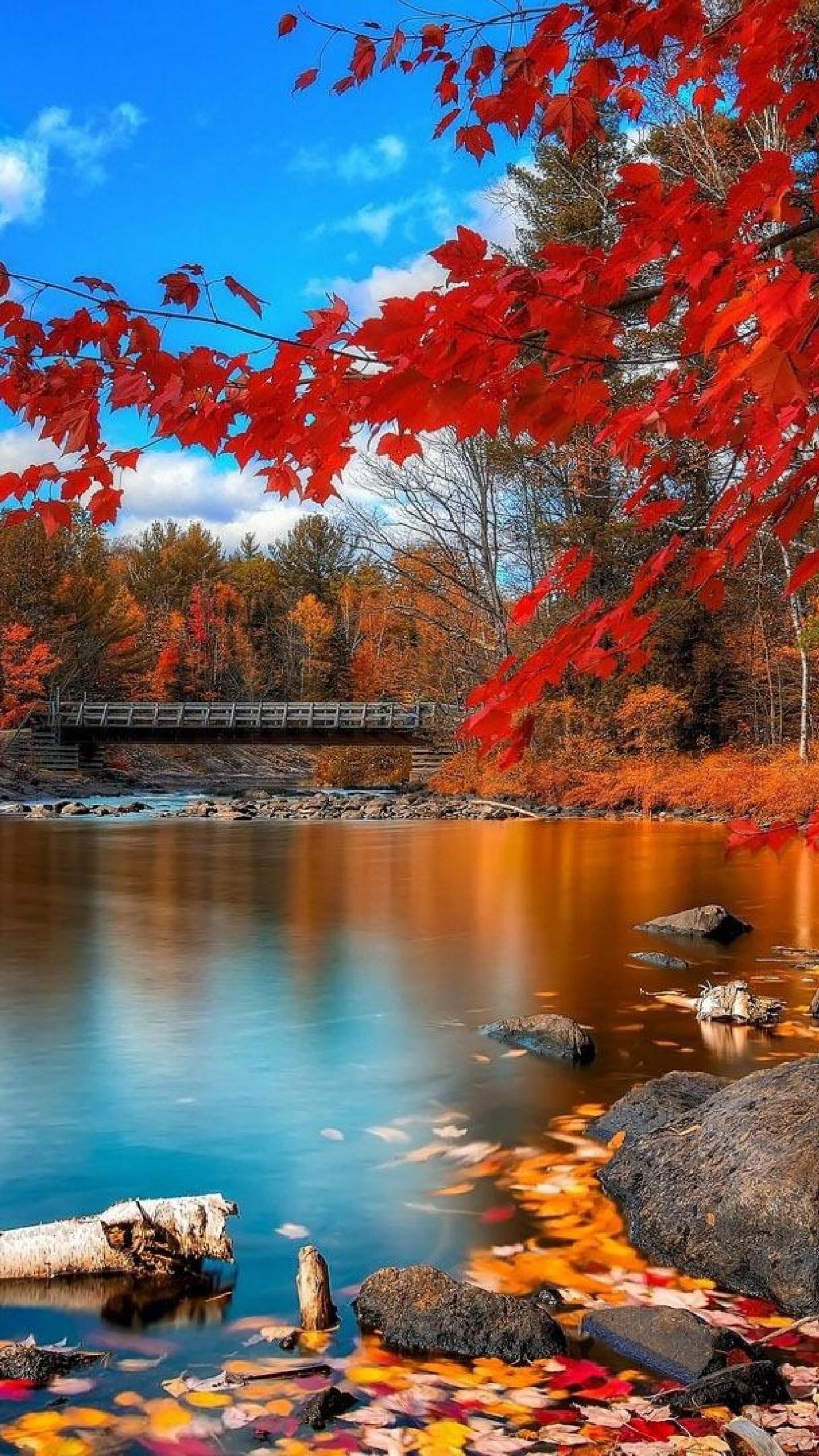 London in Autumn Wallpapers - Top Free London in Autumn Backgrounds ...