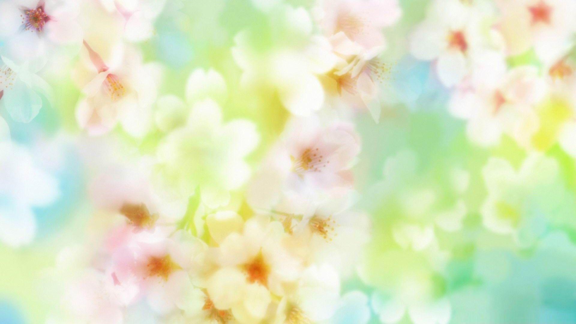 Flower Theme Wallpapers - Top Free Flower Theme Backgrounds ...
