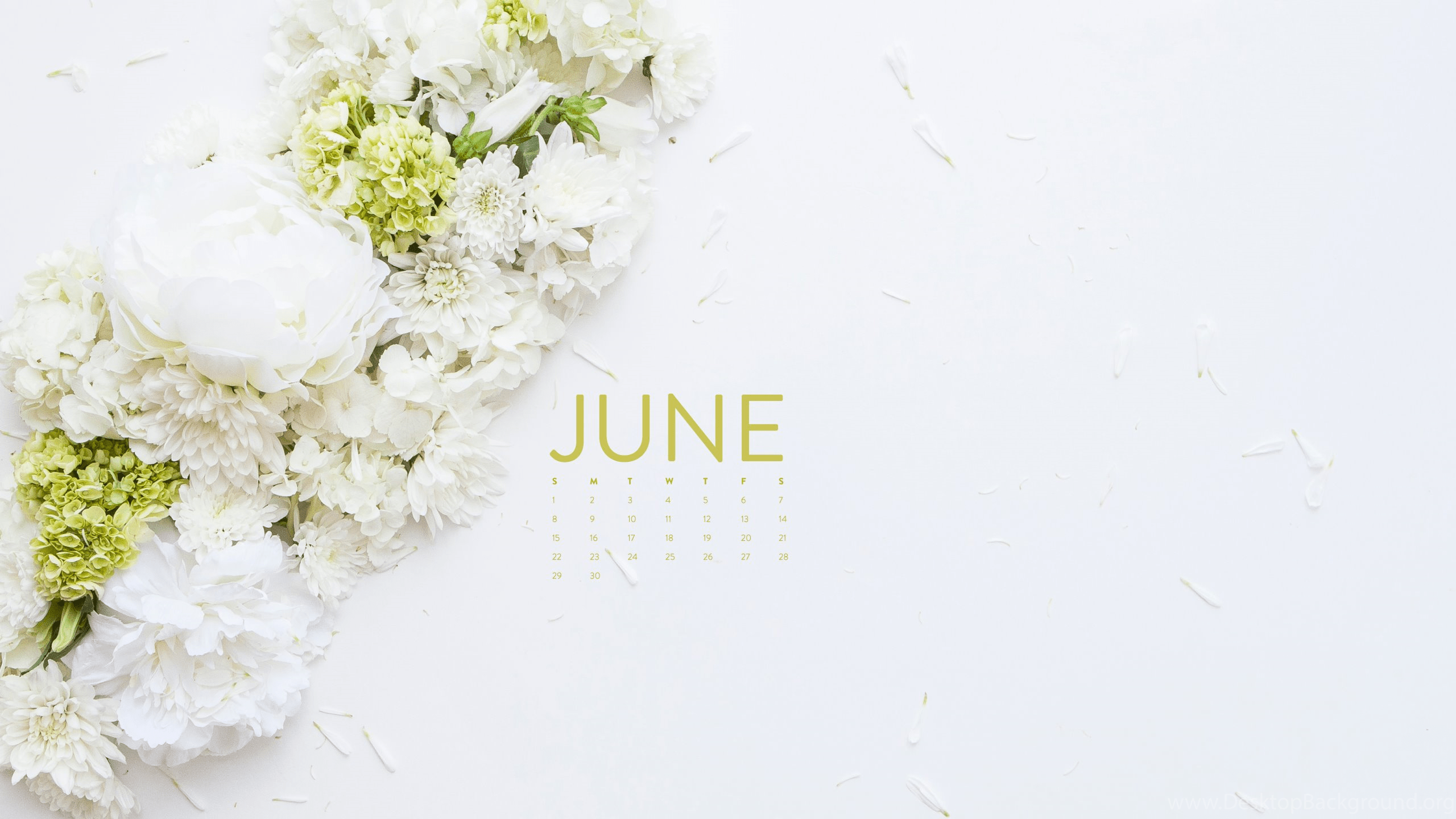 June Desktop Wallpapers - Top Free June Desktop Backgrounds ...