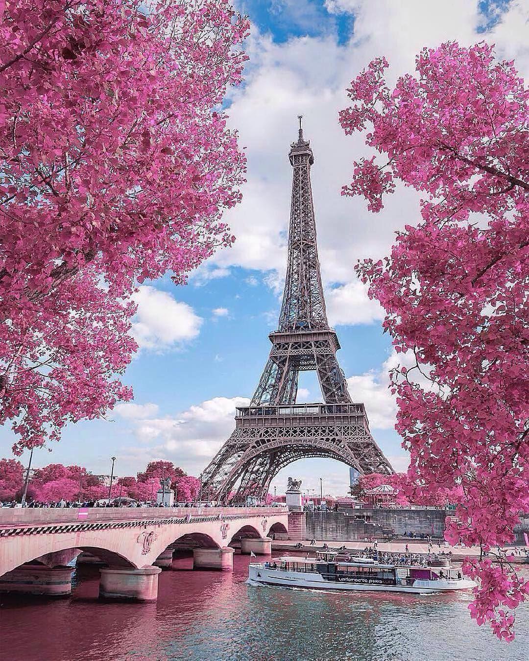 Pink Paris France Wallpapers - Top Free Pink Paris France Backgrounds ...