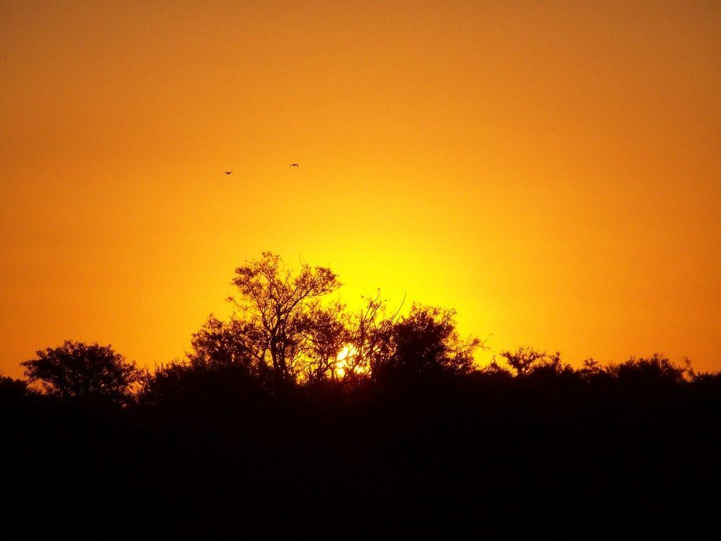 21 480X480 Savage Wallpapers - Top Free 21 480X480 Savage Backgrounds ...