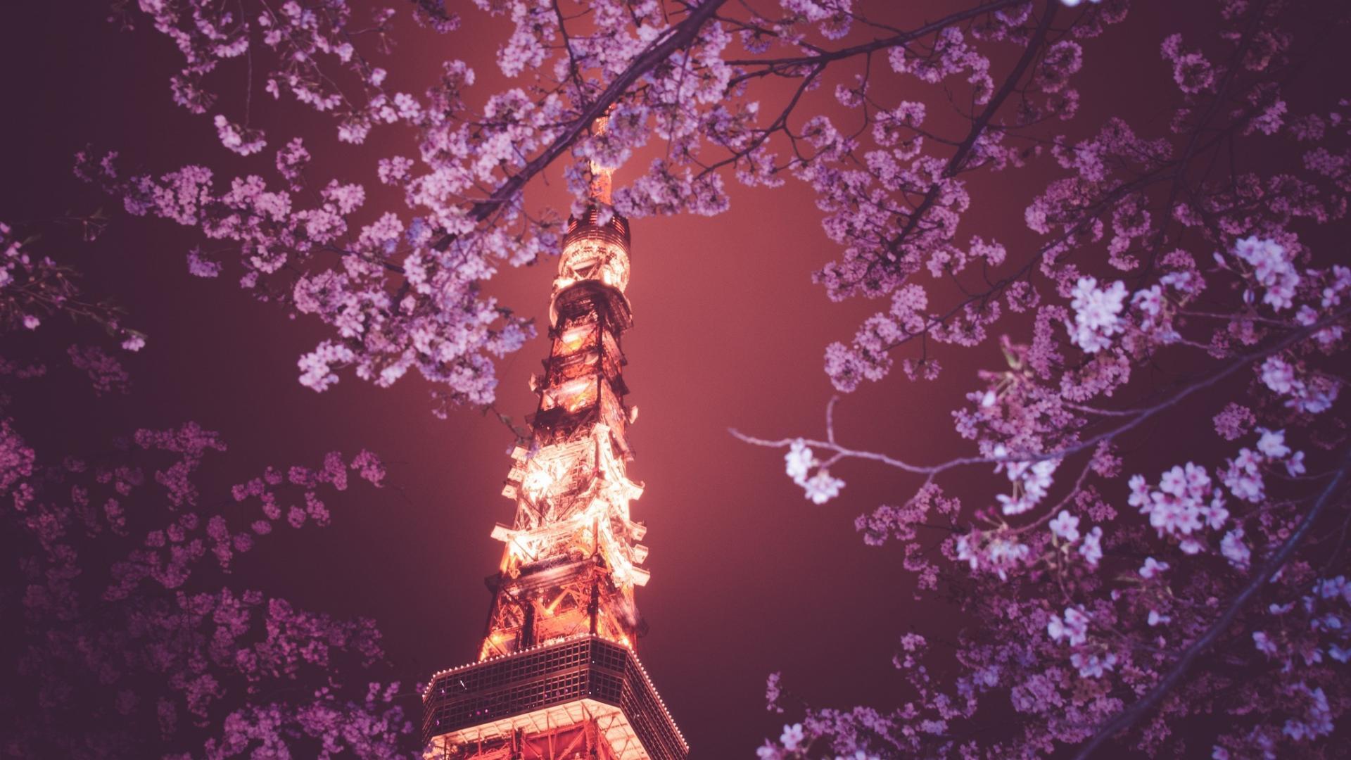 Pastel Japan Wallpapers - Top Free Pastel Japan Backgrounds ...