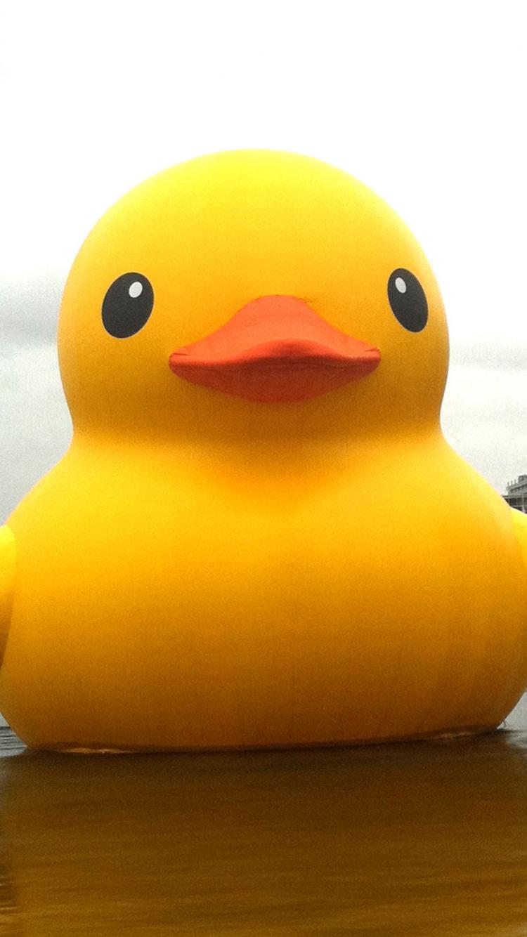 Cute Yellow Ducks Wallpapers - Top Free Cute Yellow Ducks Backgrounds ...