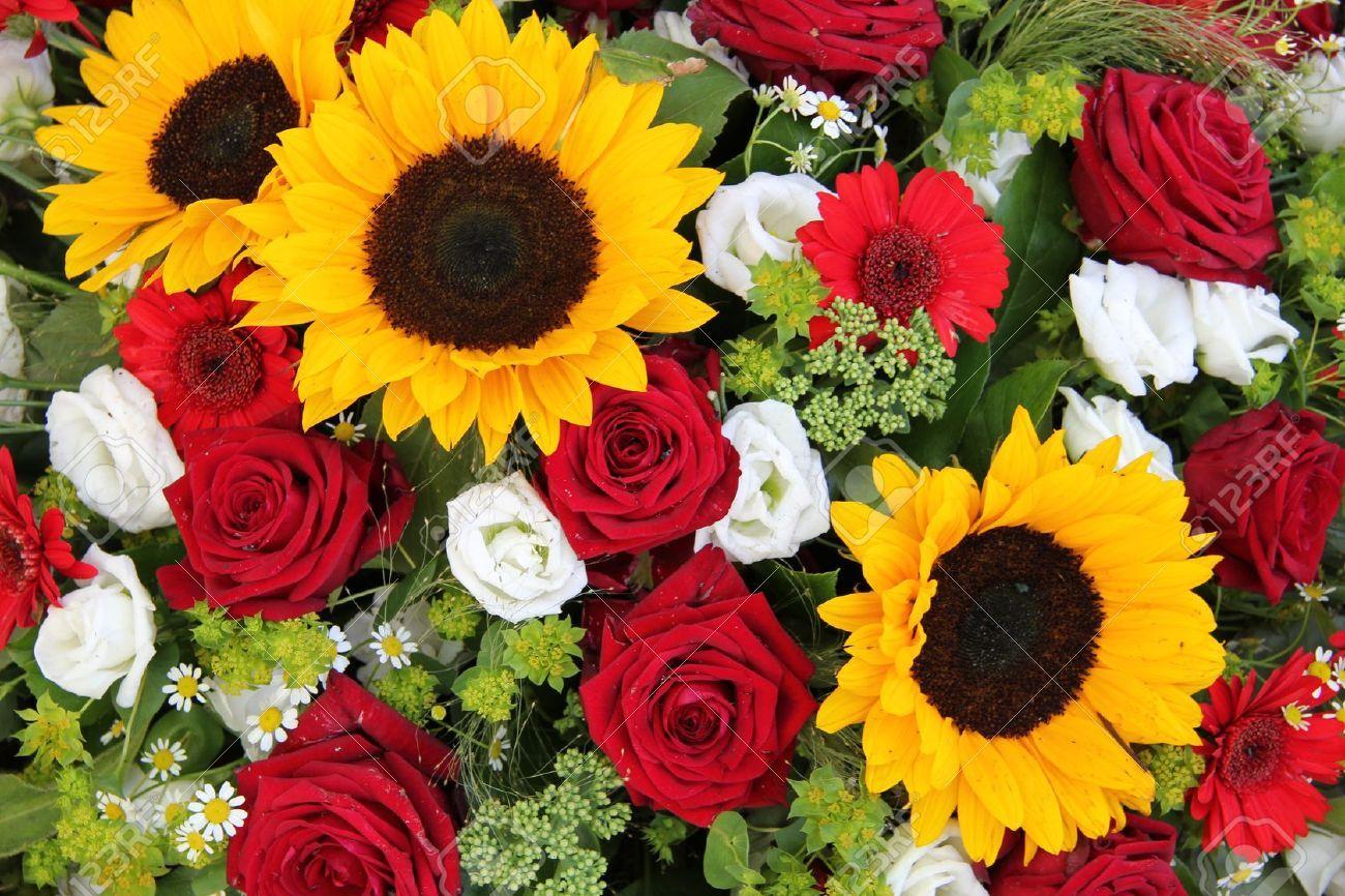 Red and Yellow Sunflower Wallpapers - Top Free Red and Yellow Sunflower ...