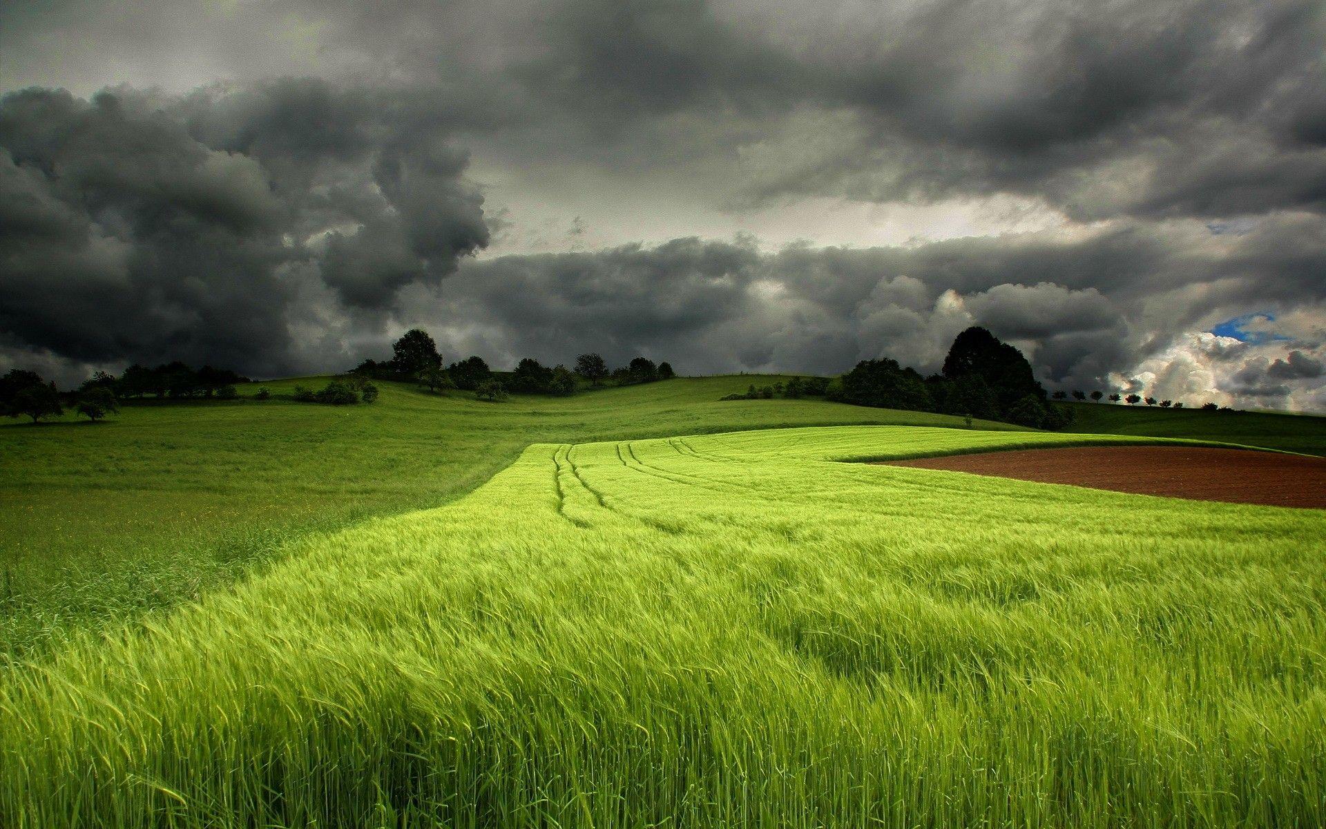 Grassy Field Wallpapers - Top Free Grassy Field Backgrounds ...