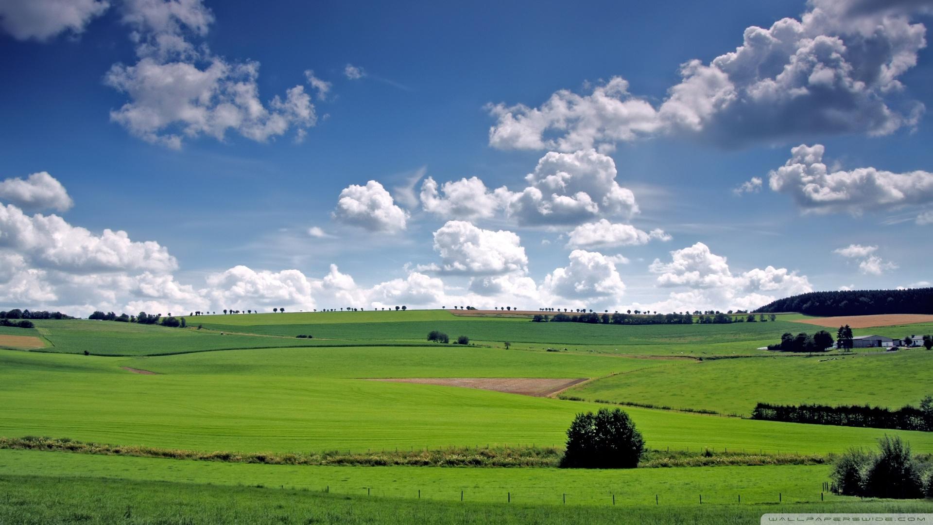 Grassy Field Wallpapers - Top Free Grassy Field Backgrounds ...