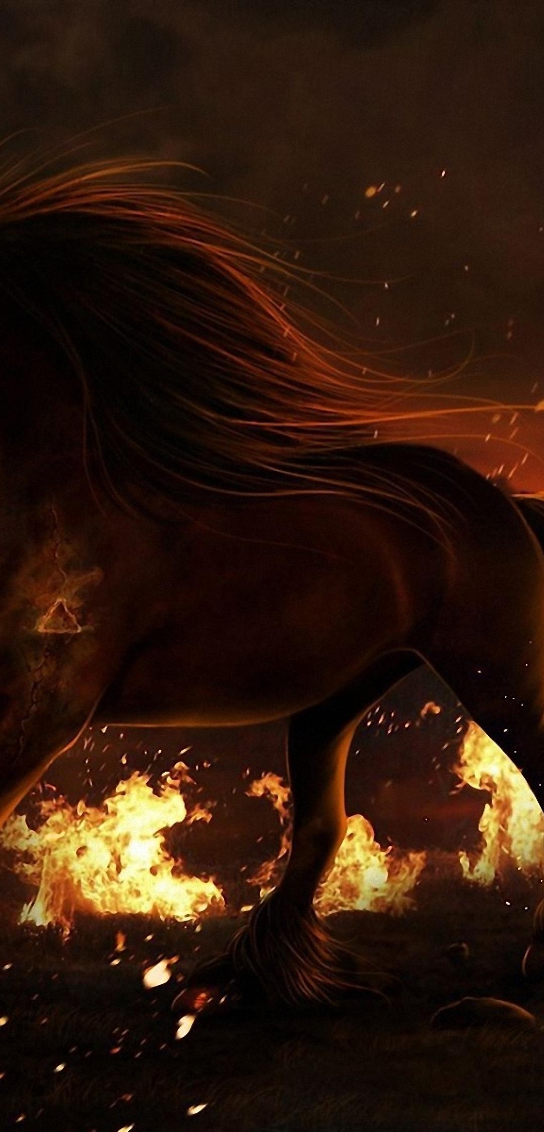 Flaming Horse Wallpapers - Top Free Flaming Horse Backgrounds ...