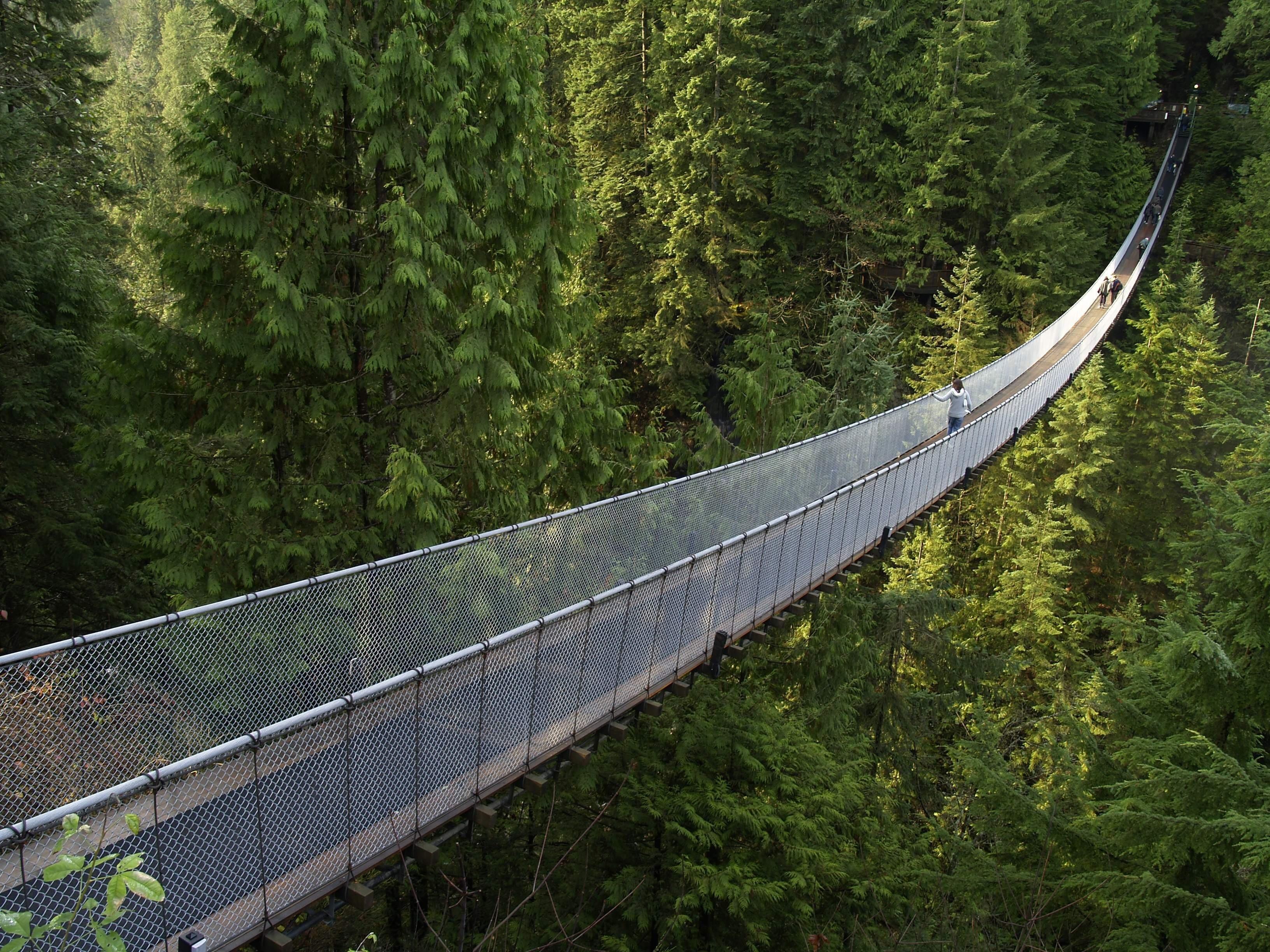 Capilano Suspension Bridge Wallpapers - Top Free Capilano Suspension ...