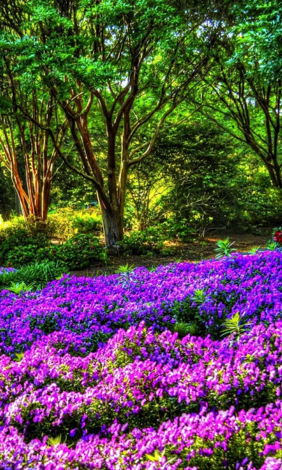 Garden Phone Wallpapers - Top Free Garden Phone Backgrounds ...