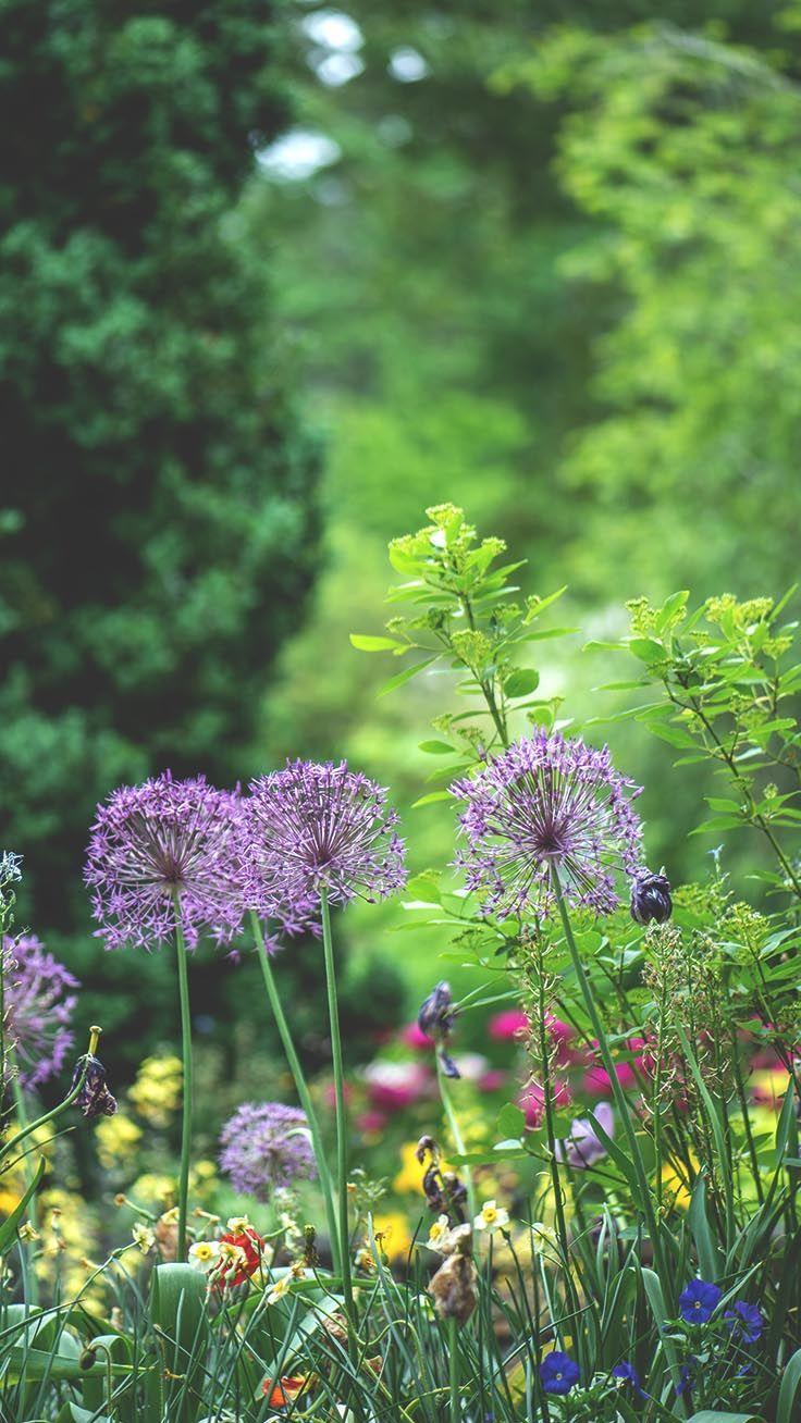 Garden Phone Wallpapers - Top Free Garden Phone Backgrounds ...