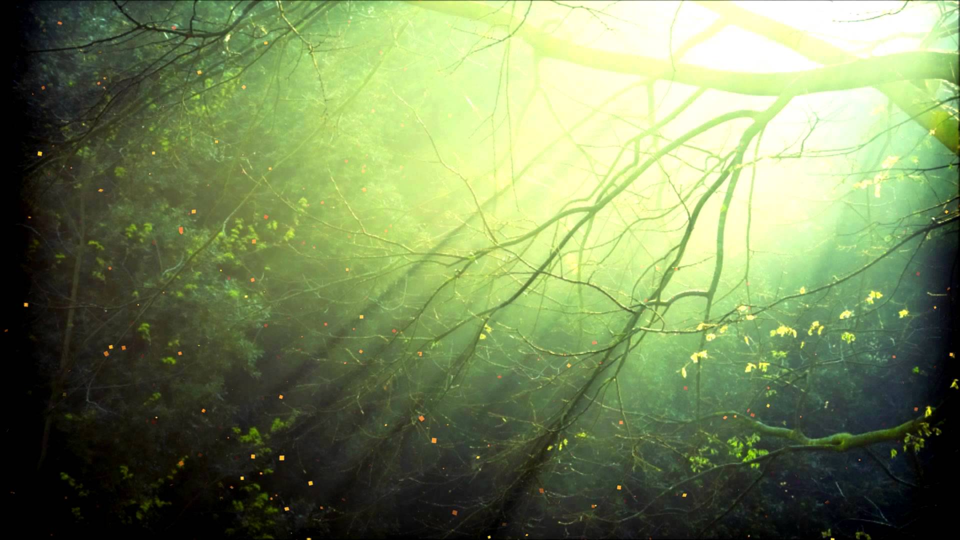 Inner Peace Wallpapers - Top Free Inner Peace Backgrounds - WallpaperAccess