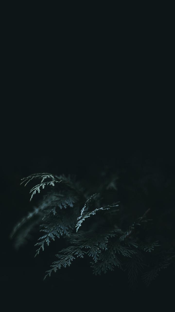 Inner Peace Wallpapers - Top Free Inner Peace Backgrounds - WallpaperAccess