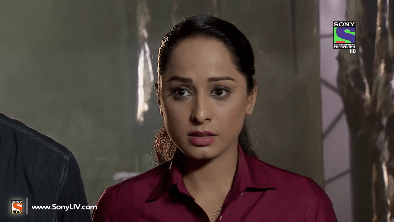 Ansha Sayed Wallpapers - Top Free Ansha Sayed Backgrounds - WallpaperAccess