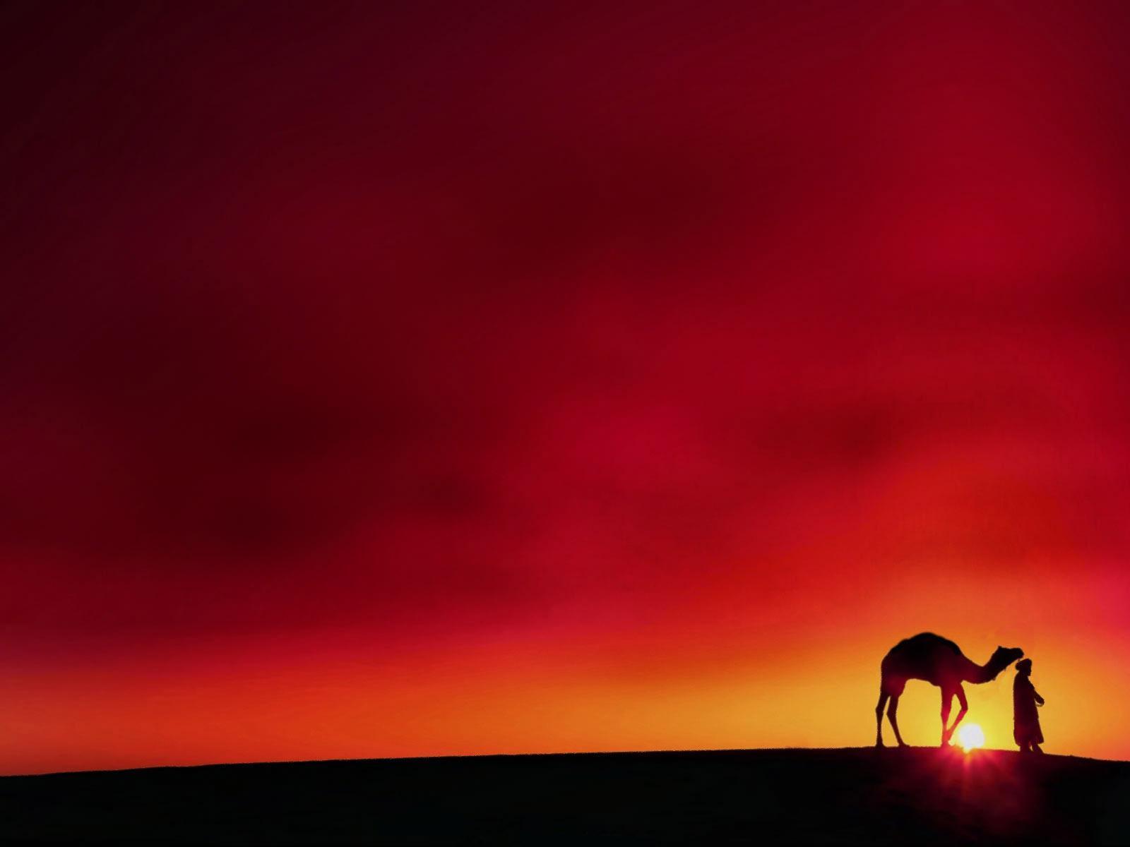 Rajasthani Wallpapers - Top Free Rajasthani Backgrounds - WallpaperAccess