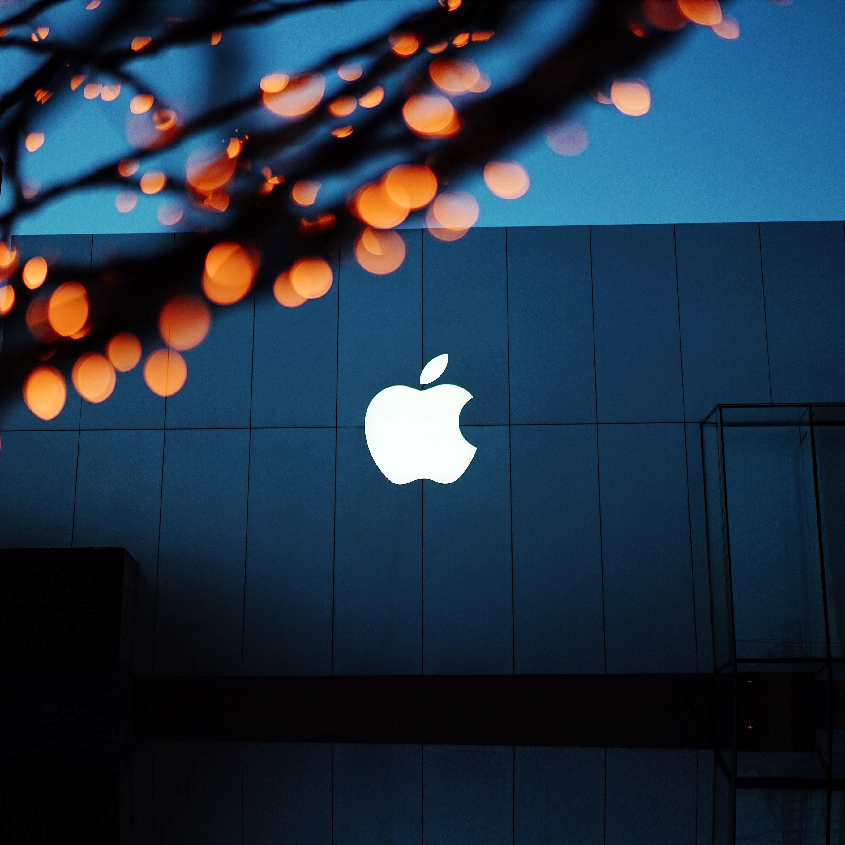 Iphone 11 Apple Logo Wallpapers - Top Free Iphone 11 Apple Logo ...