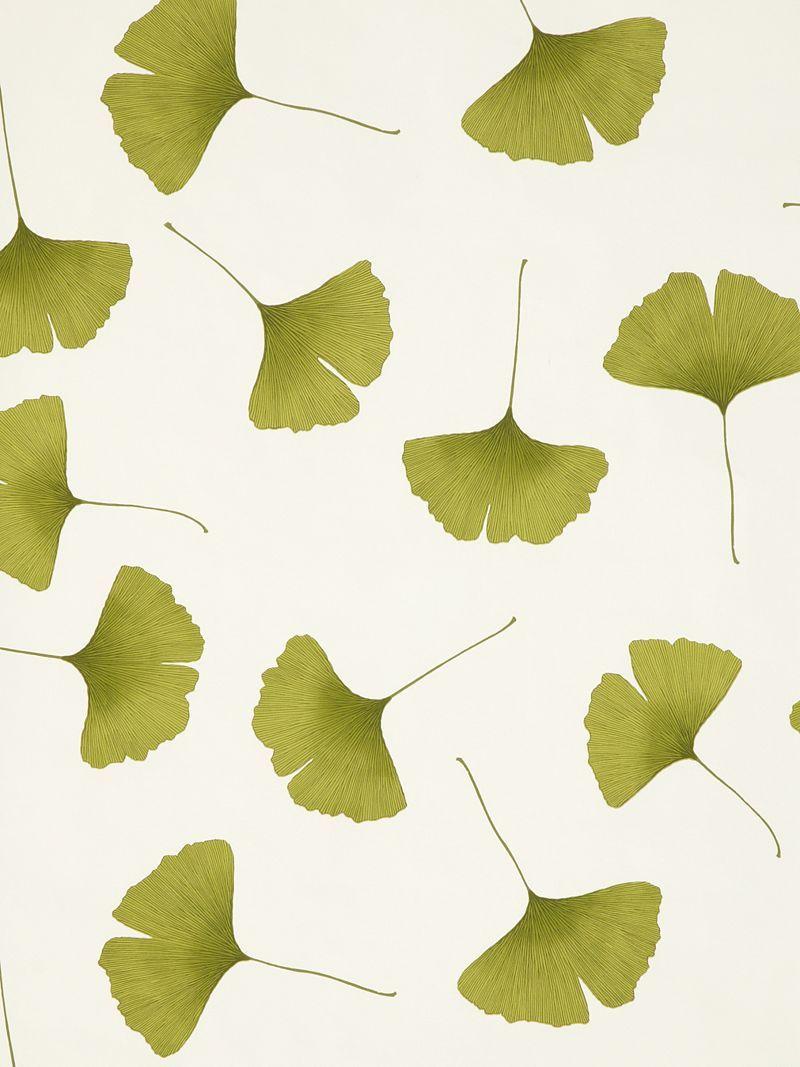 Ginkgo Tree Wallpapers - Top Free Ginkgo Tree Backgrounds - WallpaperAccess