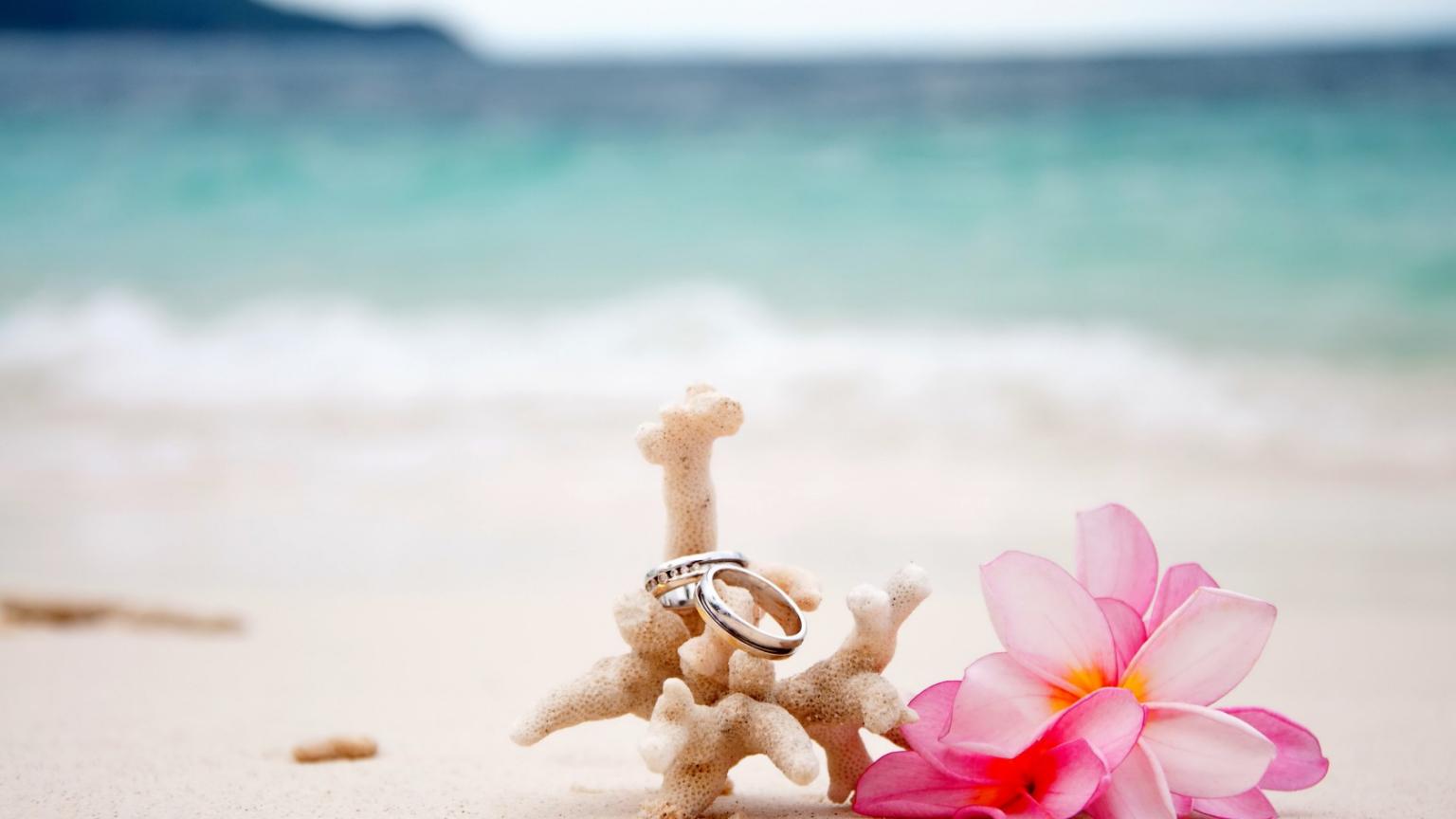 Coral Flowers Desktop Wallpapers - Top Free Coral Flowers Desktop ...