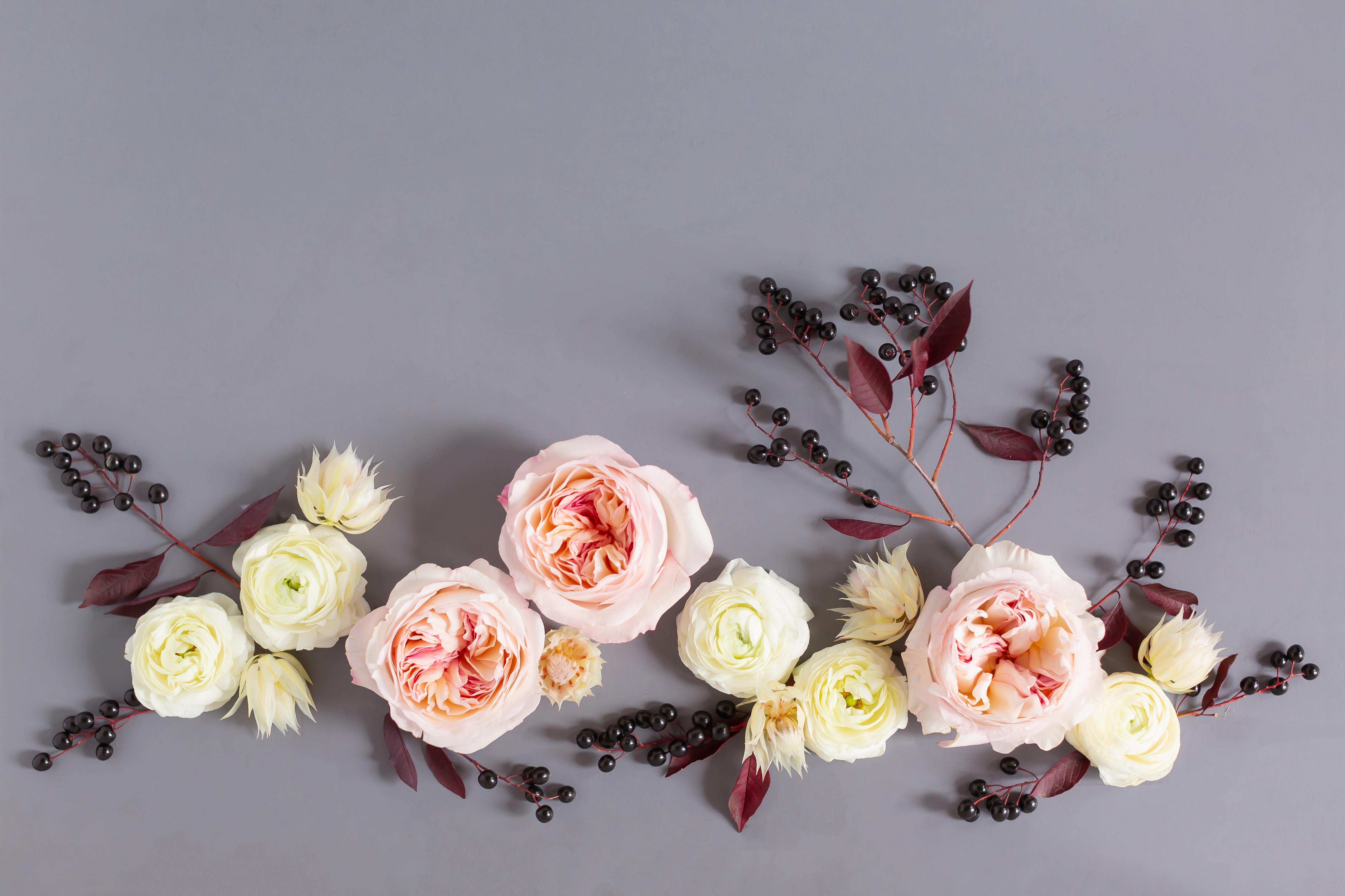 Coral Flowers Desktop Wallpapers - Top Free Coral Flowers Desktop ...