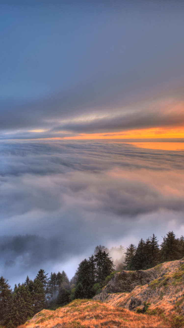 Chill Nature Wallpapers - Top Free Chill Nature Backgrounds ...