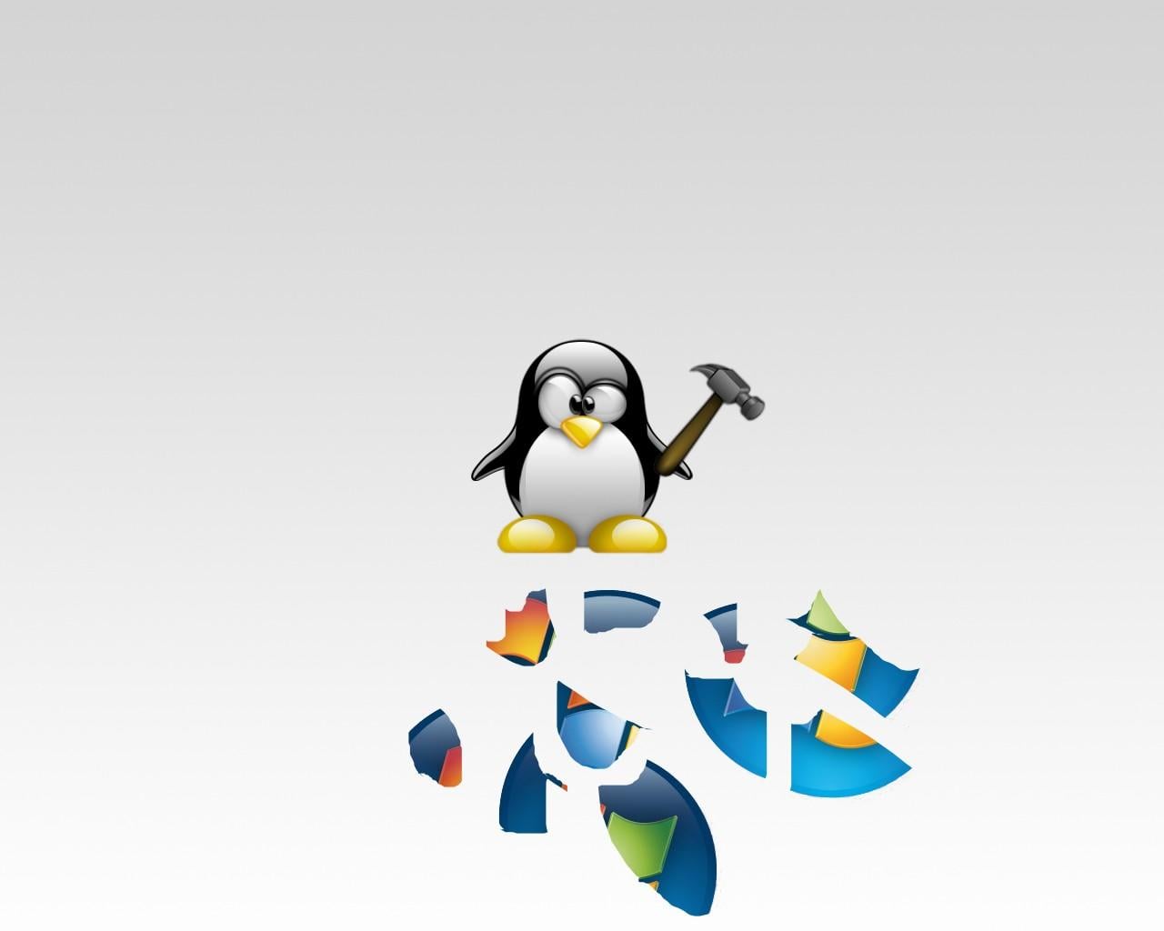 Linux vs Windows Wallpapers - Top Free Linux vs Windows Backgrounds ...