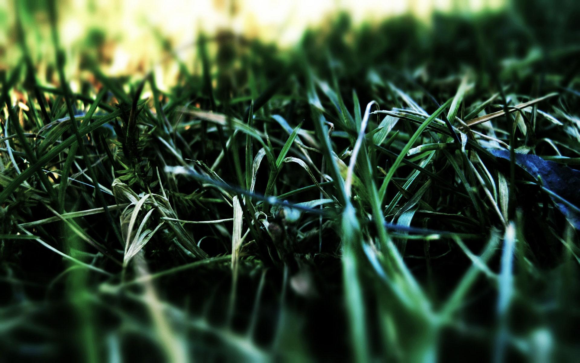 Deep Green Wallpapers - Top Free Deep Green Backgrounds - WallpaperAccess