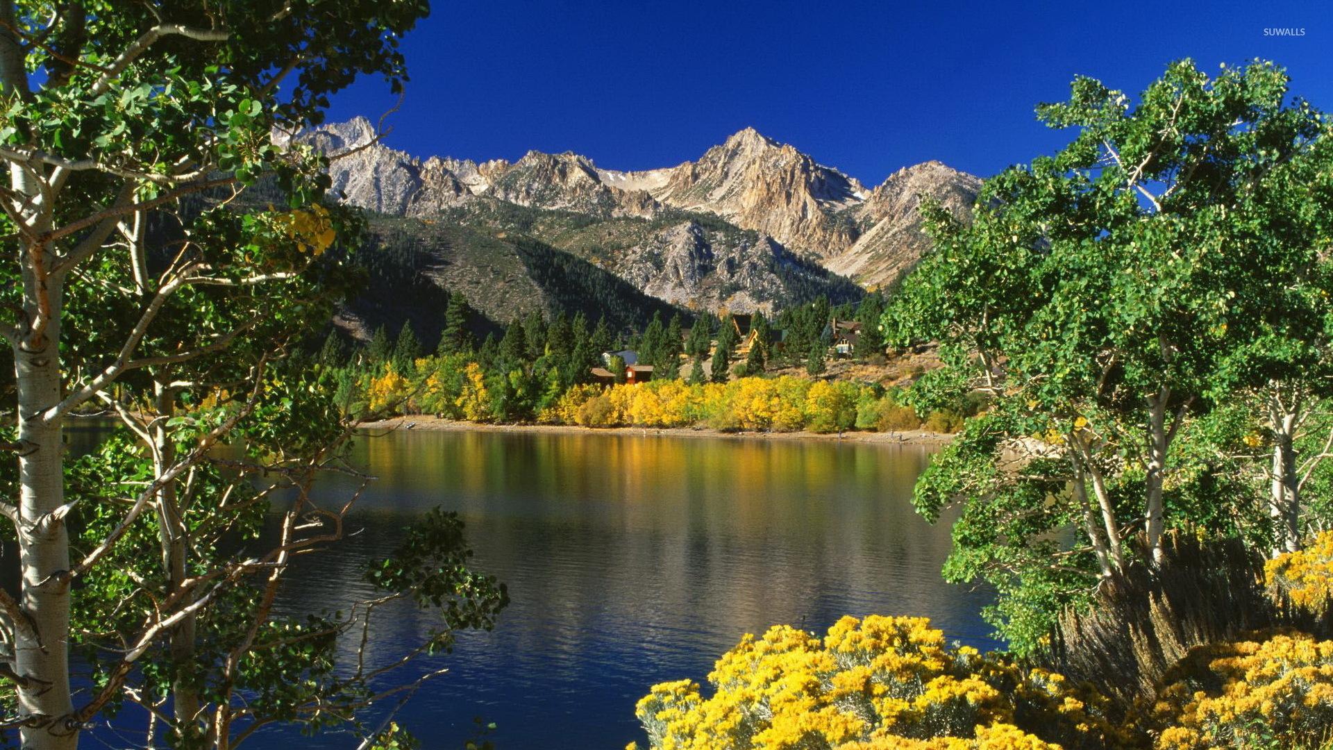 National Forest Wallpapers - Top Free National Forest Backgrounds ...