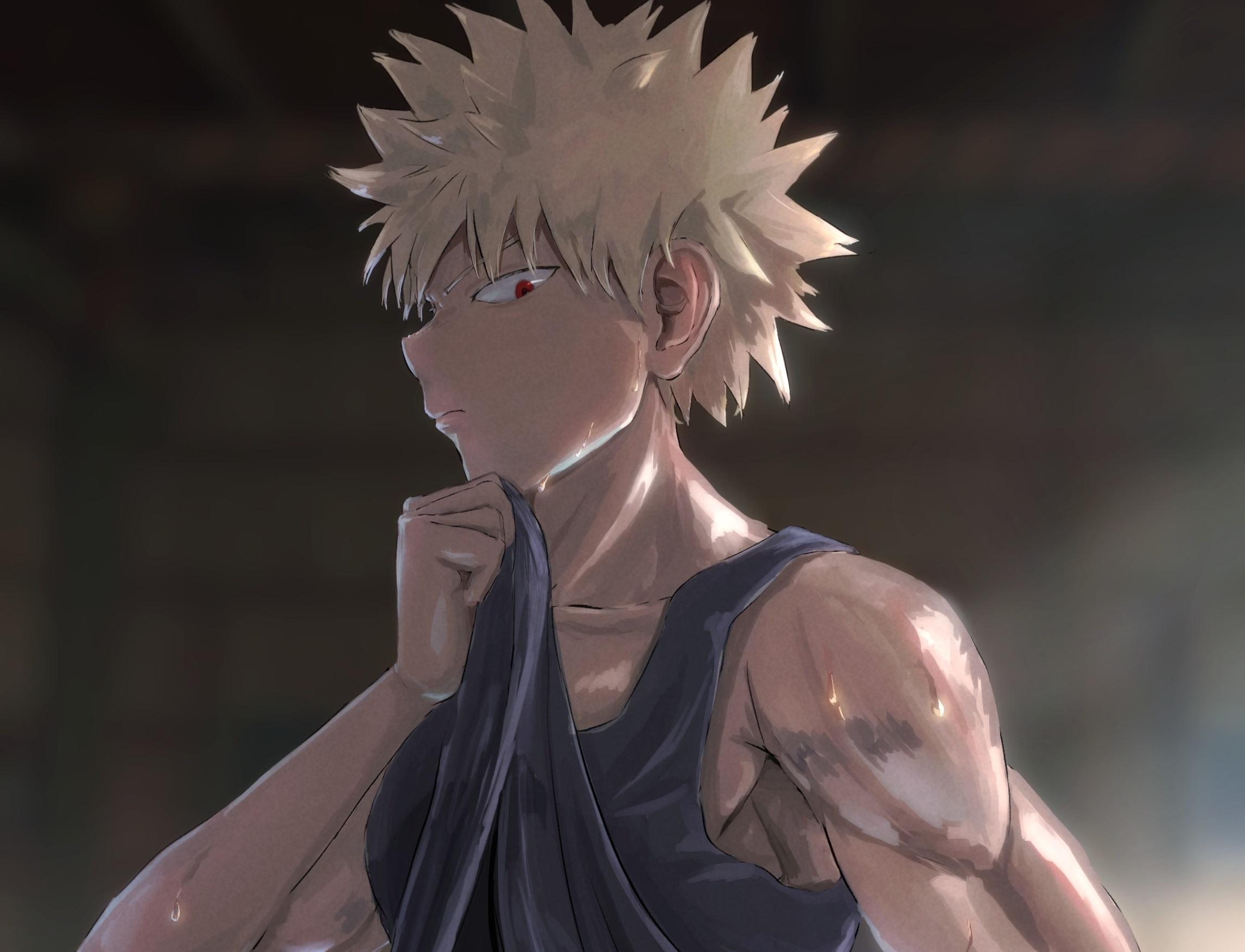 Bakugo PC Wallpapers - Top Free Bakugo PC Backgrounds - WallpaperAccess
