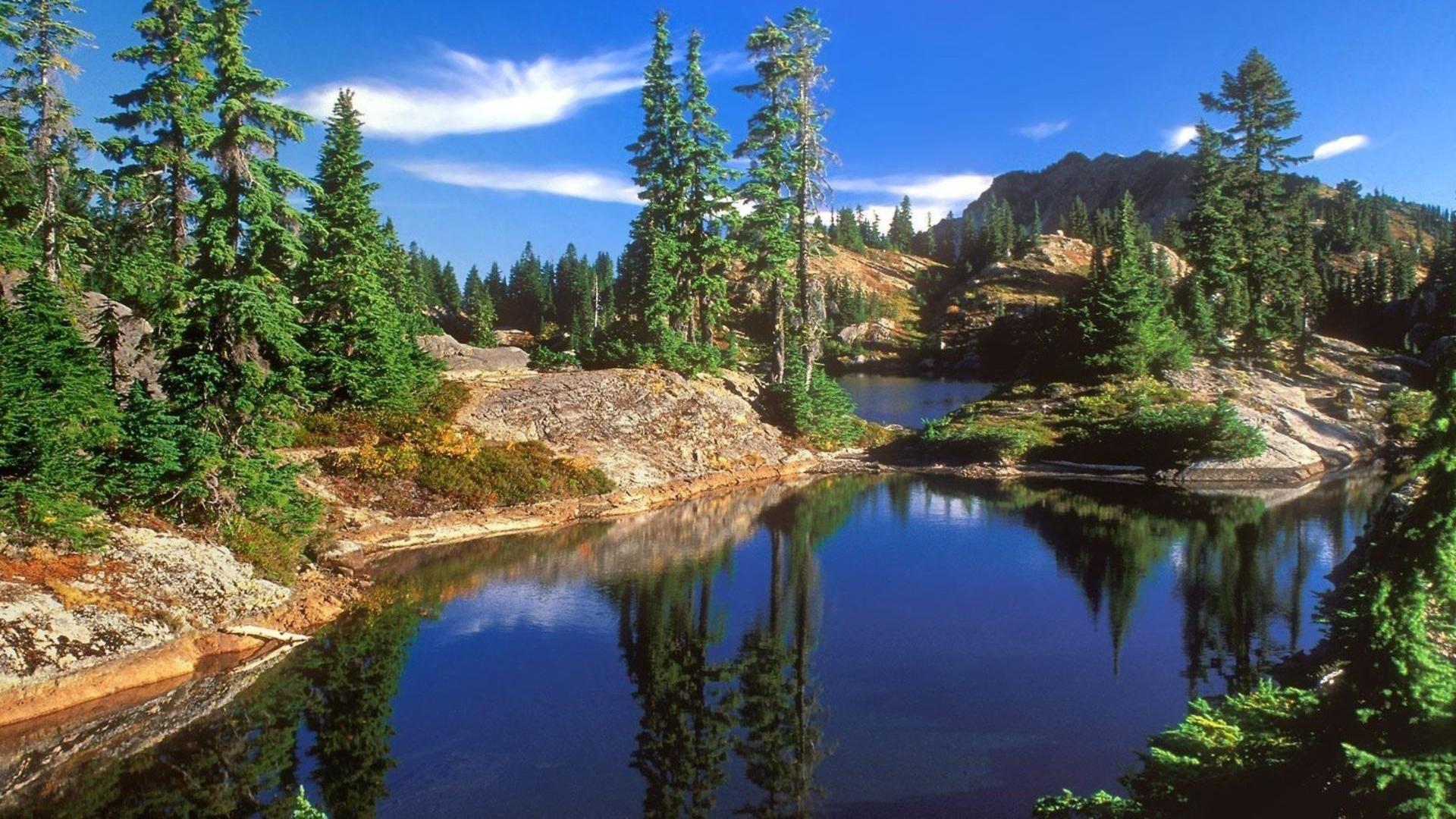 National Forest Wallpapers - Top Free National Forest Backgrounds ...