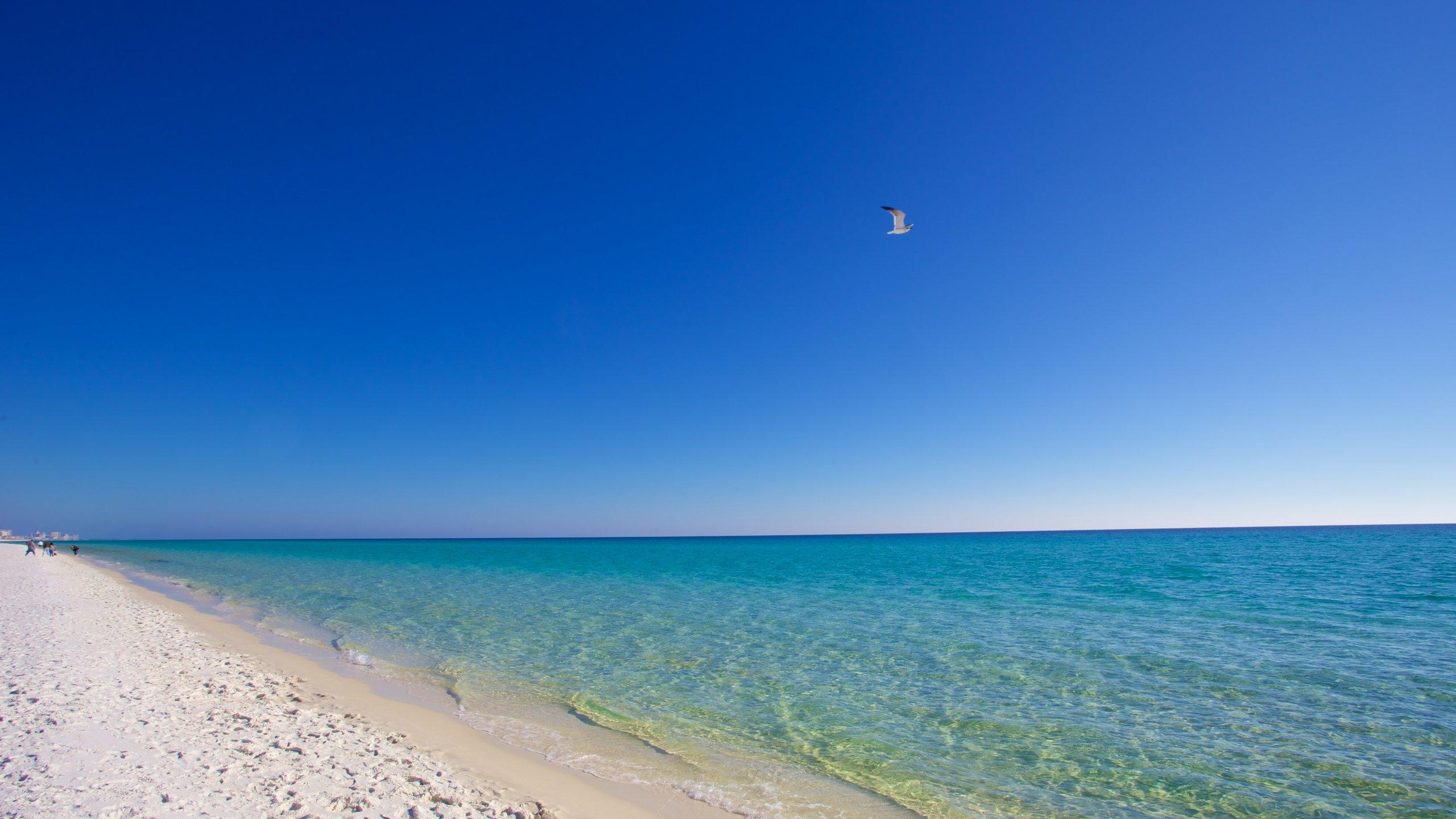 Destin Beach Wallpapers - Top Free Destin Beach Backgrounds ...