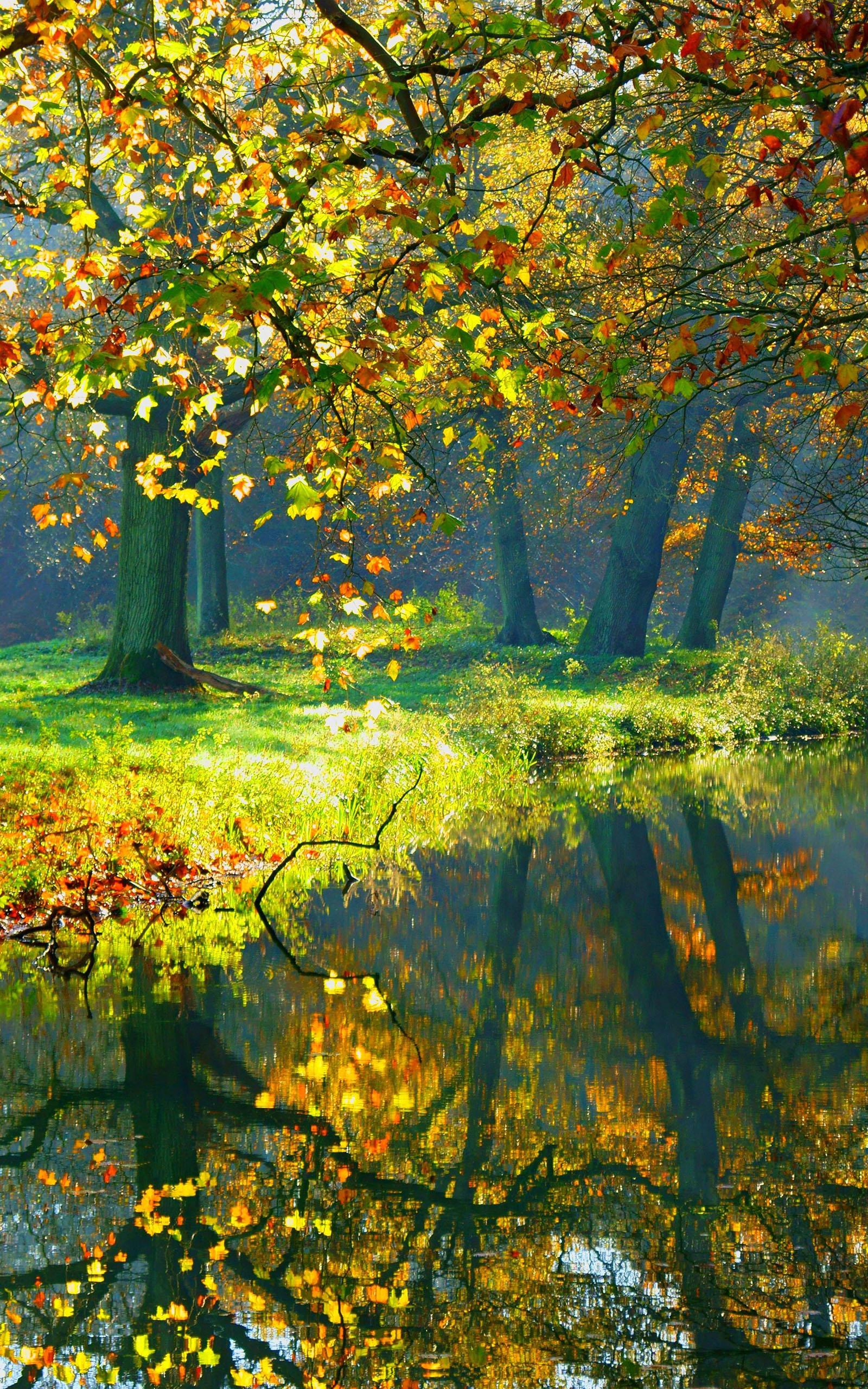 Samsung Note 4 Wallpapers - Top Free Samsung Note 4 Backgrounds ...