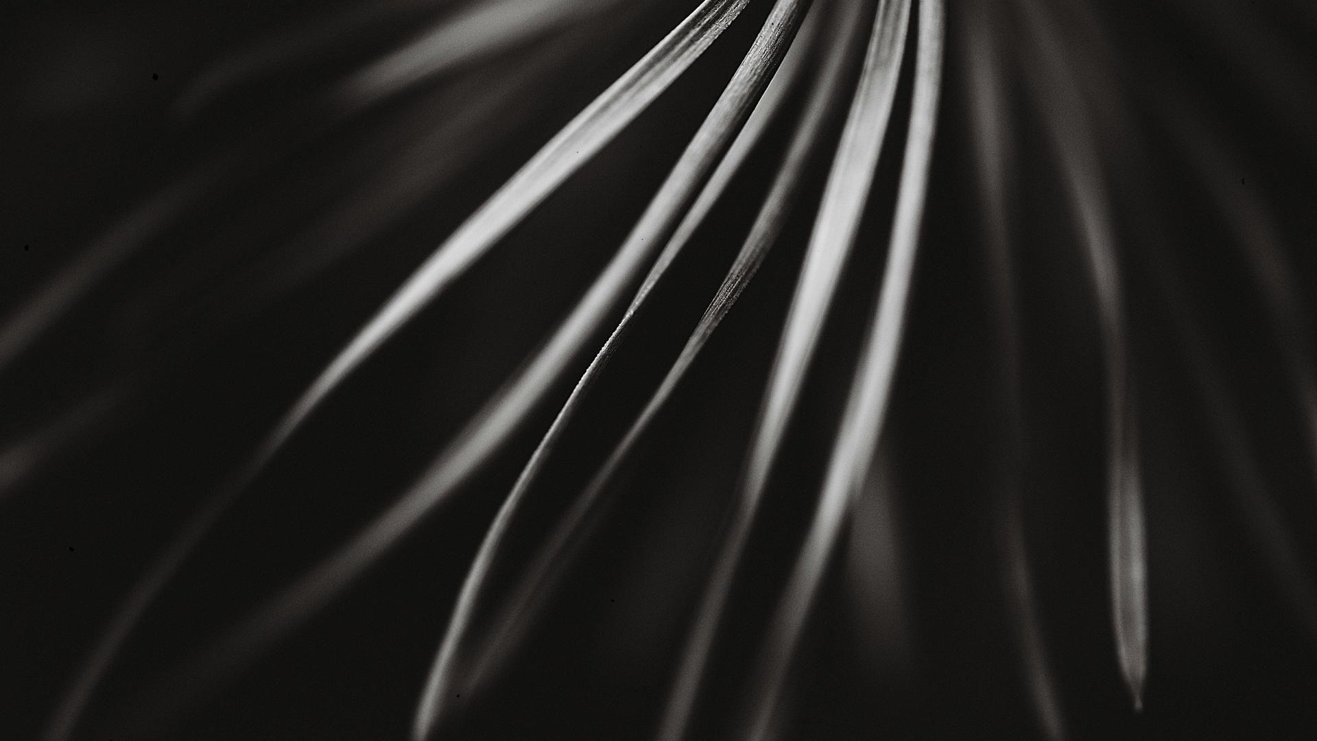 Flawless Wallpapers - Top Free Flawless Backgrounds - WallpaperAccess