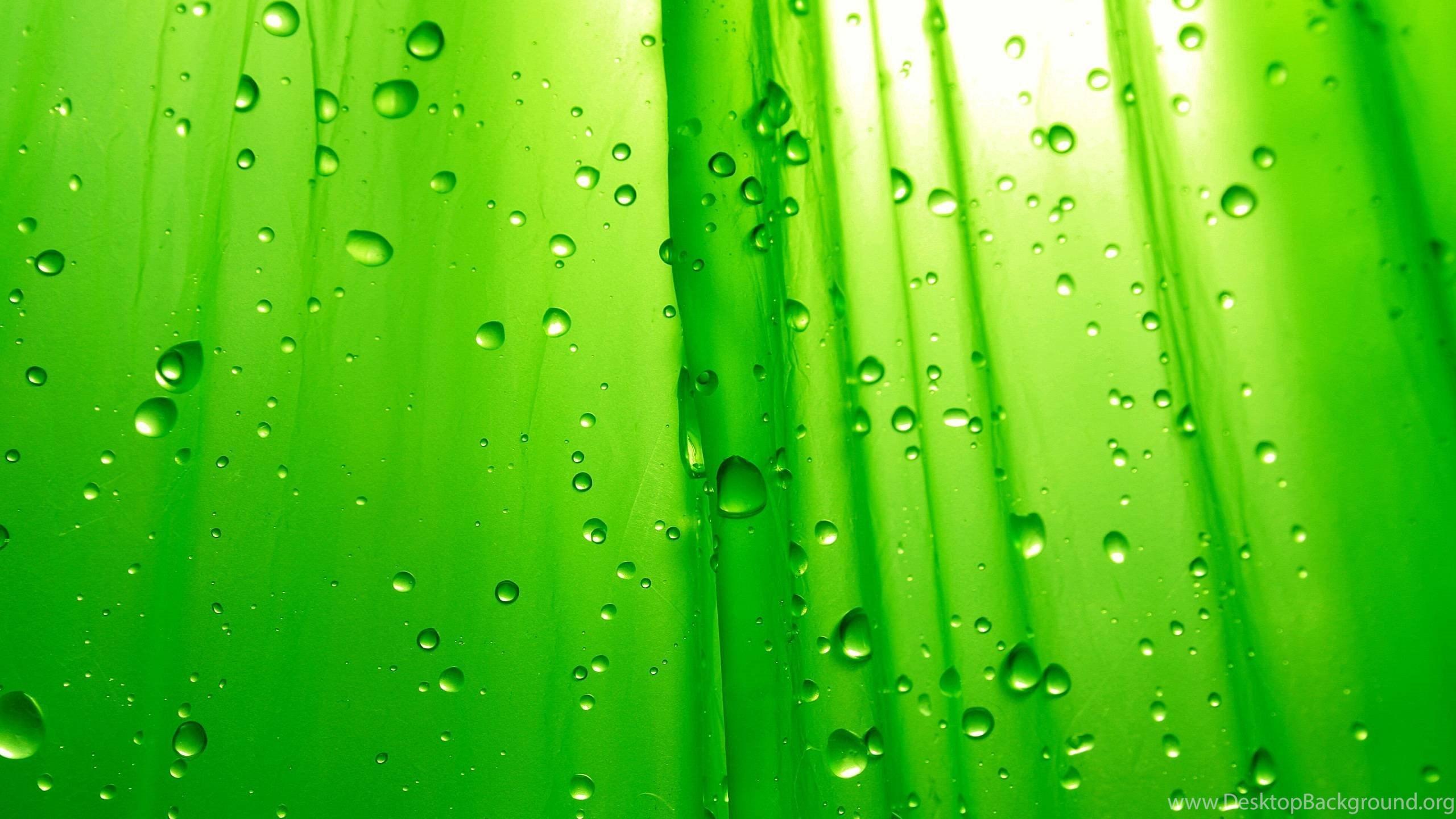 Go Green Wallpapers - Top Free Go Green Backgrounds - WallpaperAccess