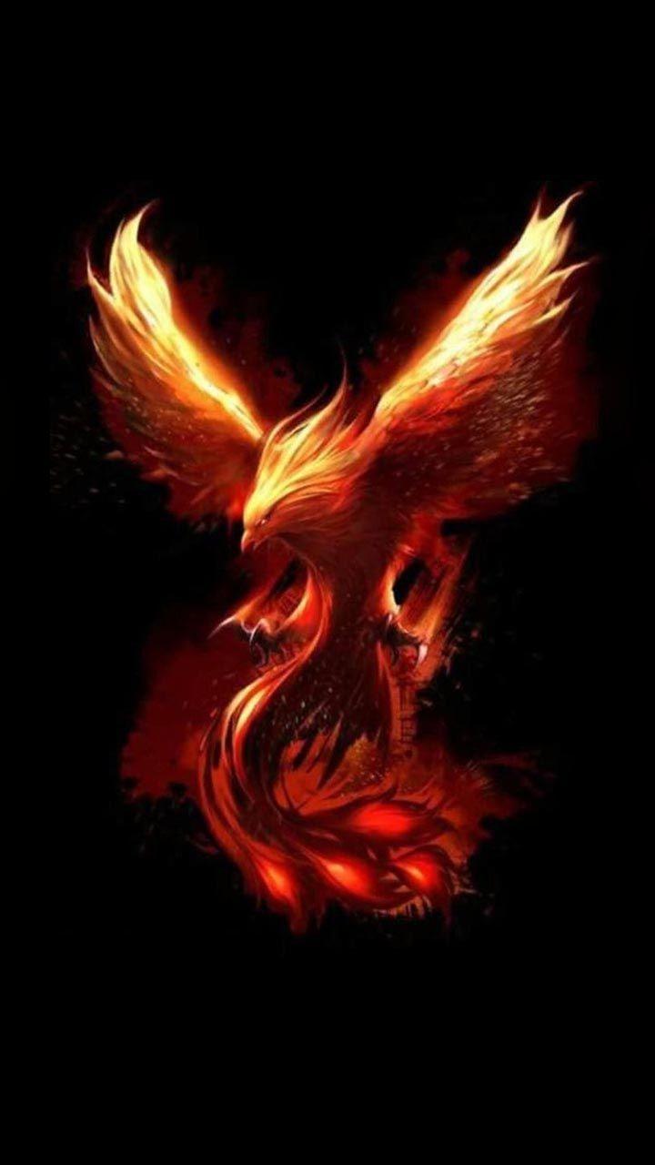 Mythical Phoenix Wallpapers - Top Free Mythical Phoenix Backgrounds ...