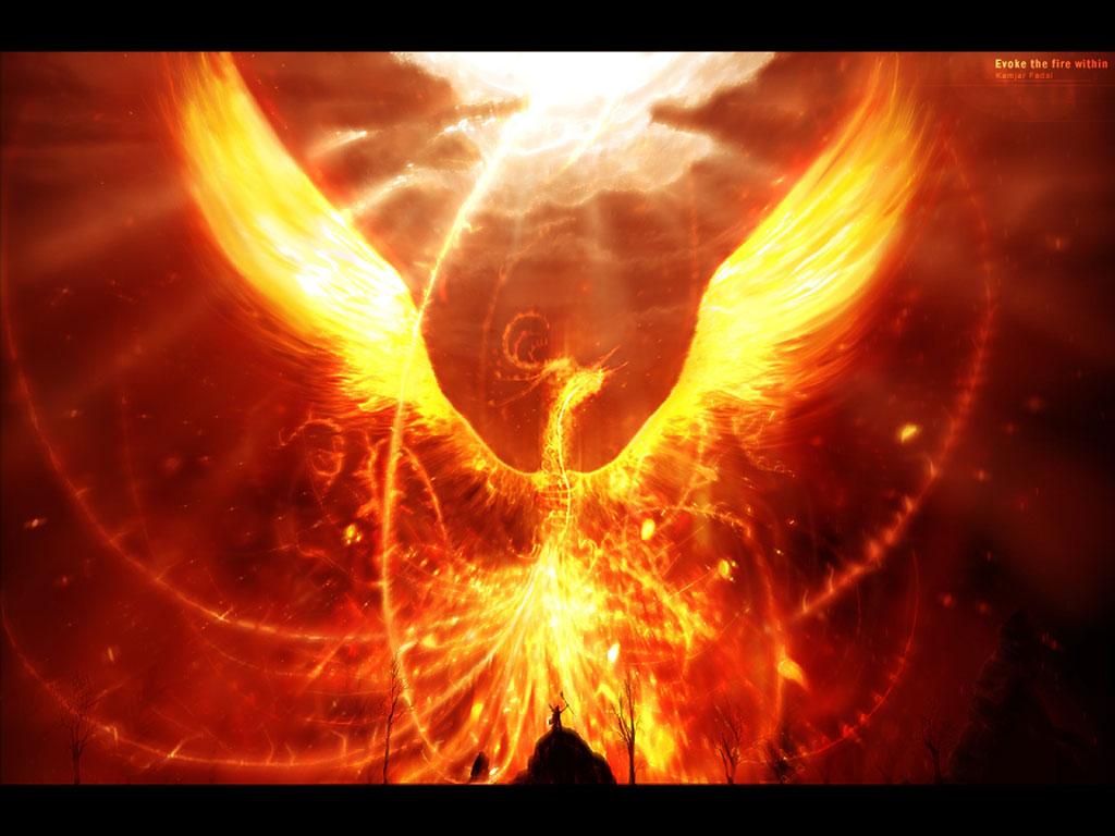 Mythical Phoenix Wallpapers - Top Free Mythical Phoenix Backgrounds ...