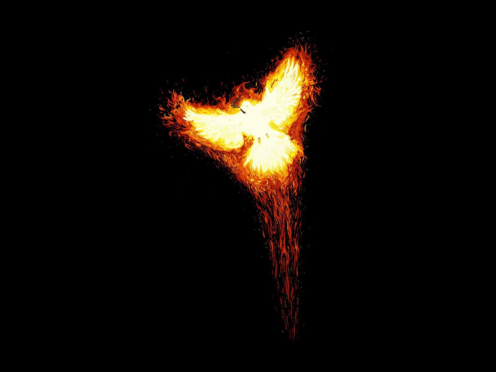 Mythical Phoenix Wallpapers - Top Free Mythical Phoenix Backgrounds ...