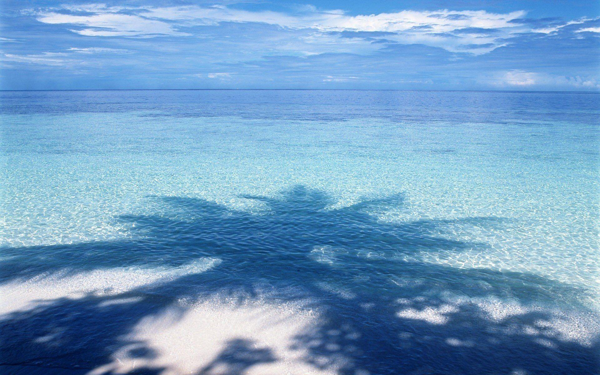 Tumblr Palm Trees Desktop Wallpapers - Top Free Tumblr Palm Trees ...