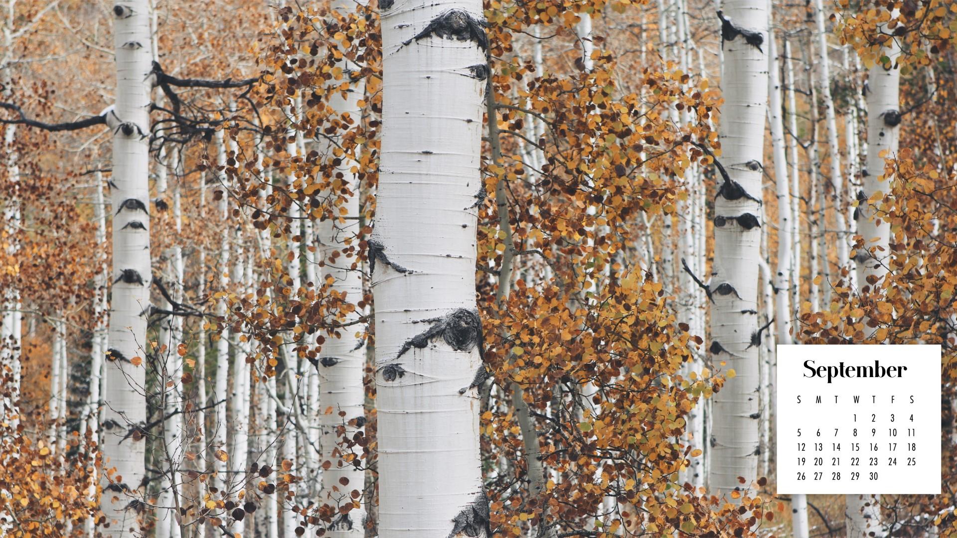 September 2021 Calendar Wallpapers - Top Free September 2021 Calendar ...