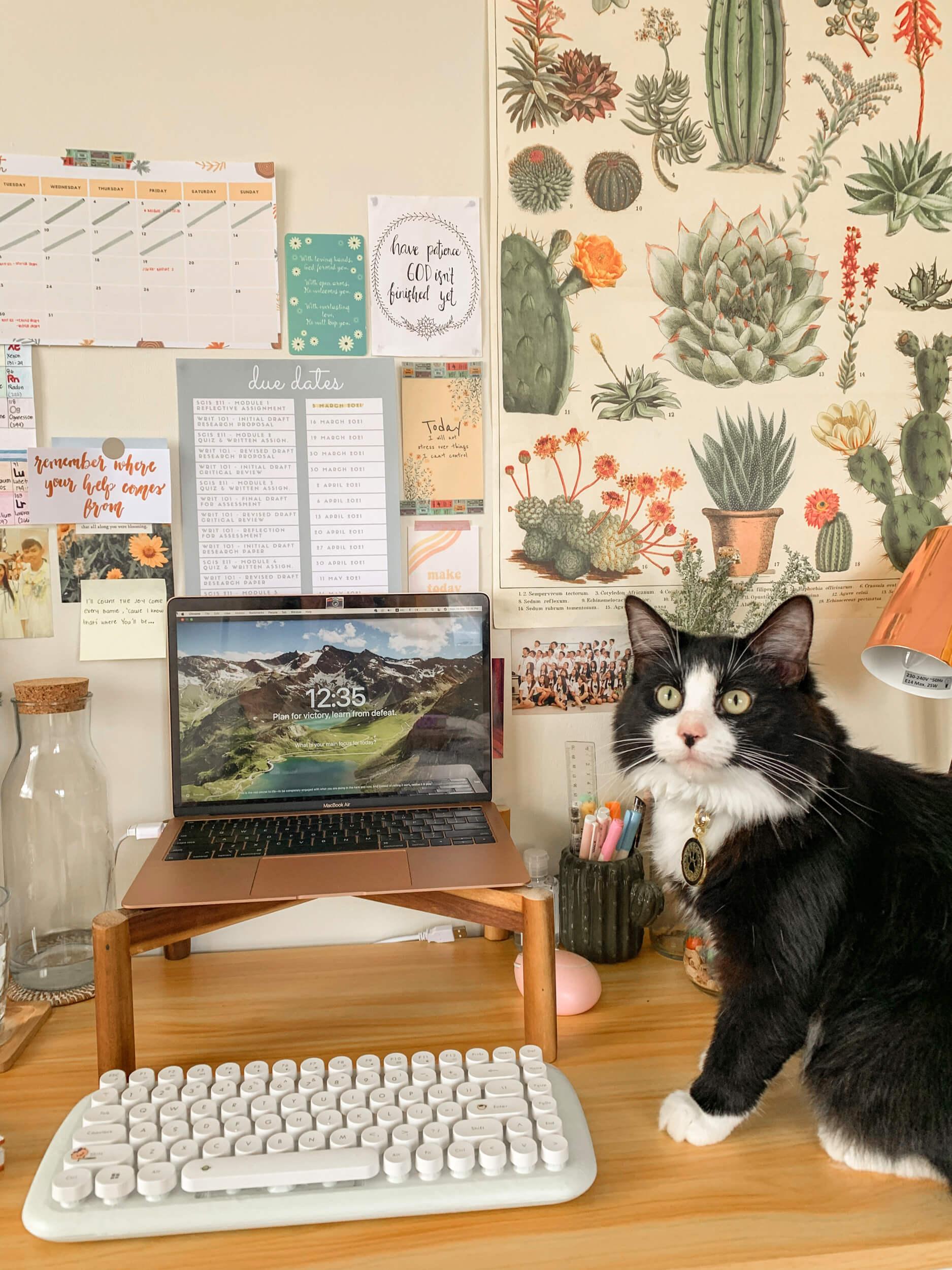 Studygram Wallpapers - Top Free Studygram Backgrounds - WallpaperAccess