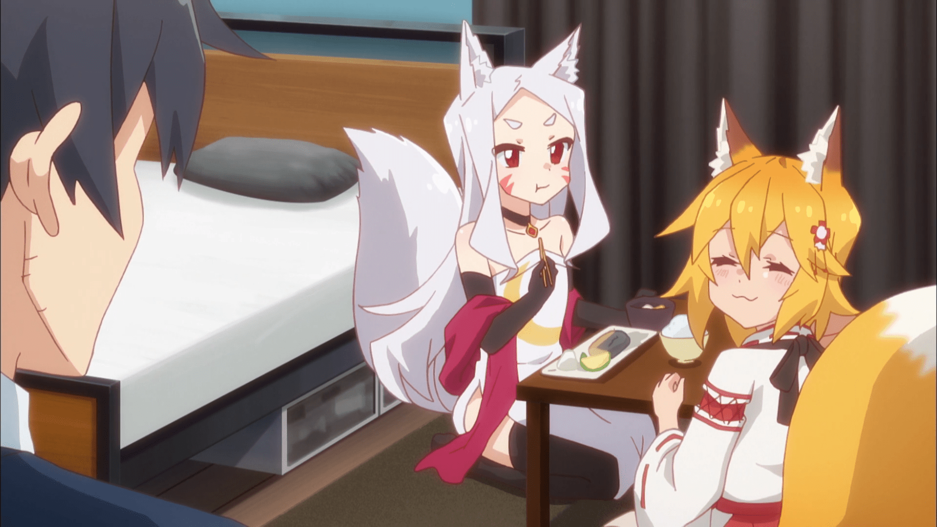 Senko San Shiro Wallpapers - Top Free Senko San Shiro Backgrounds ...