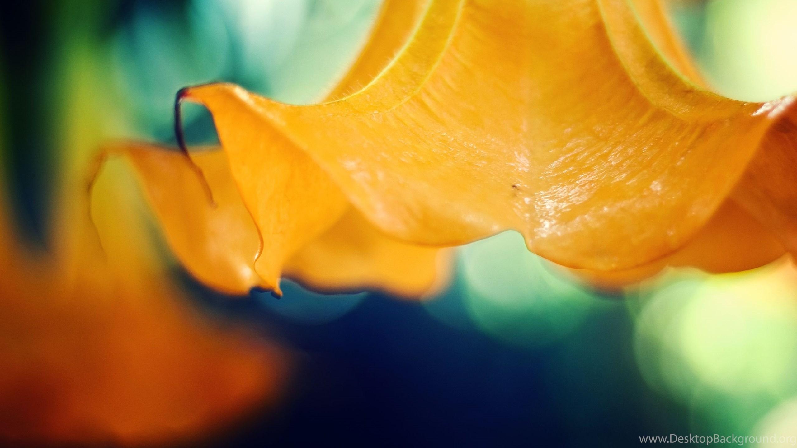 Mac Retina Display Wallpapers - Top Free Mac Retina Display Backgrounds ...