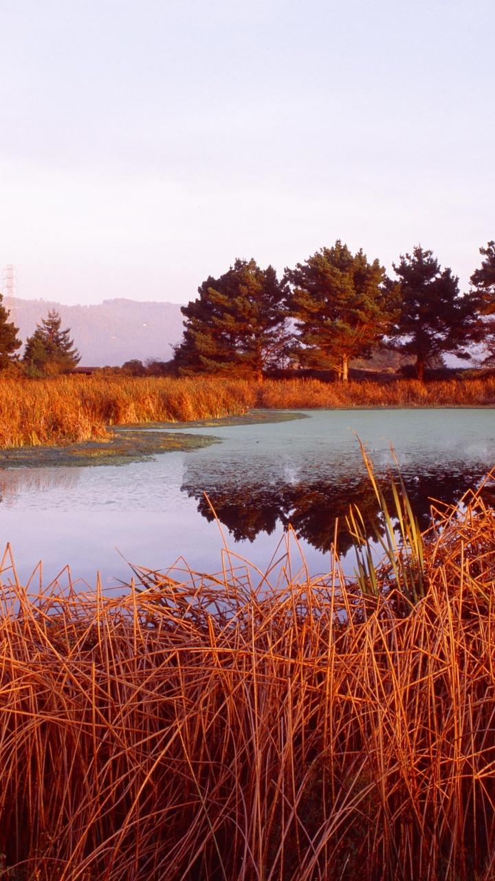 720X1280 Nature Wallpapers - Top Free 720X1280 Nature Backgrounds ...