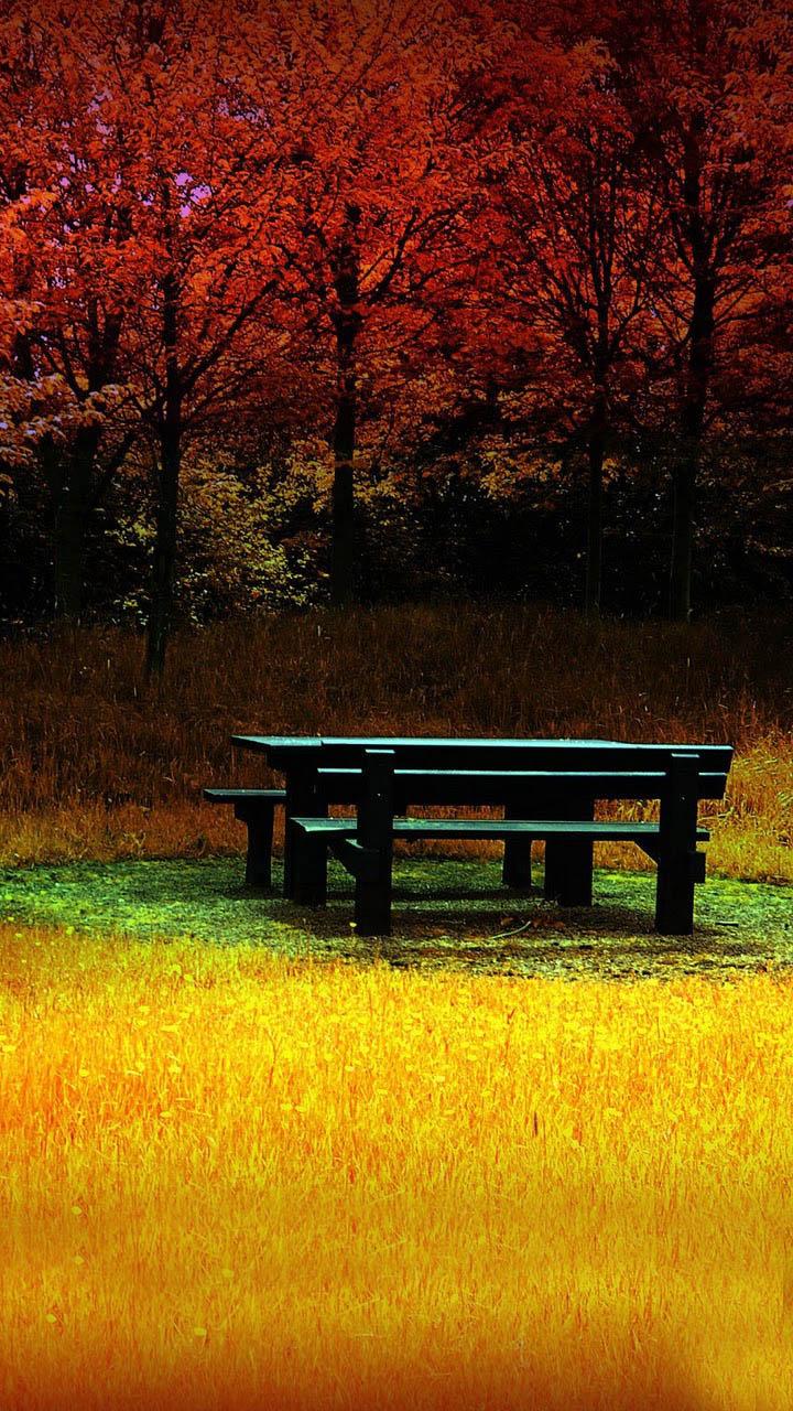 720x1280 Wallpaper Nature