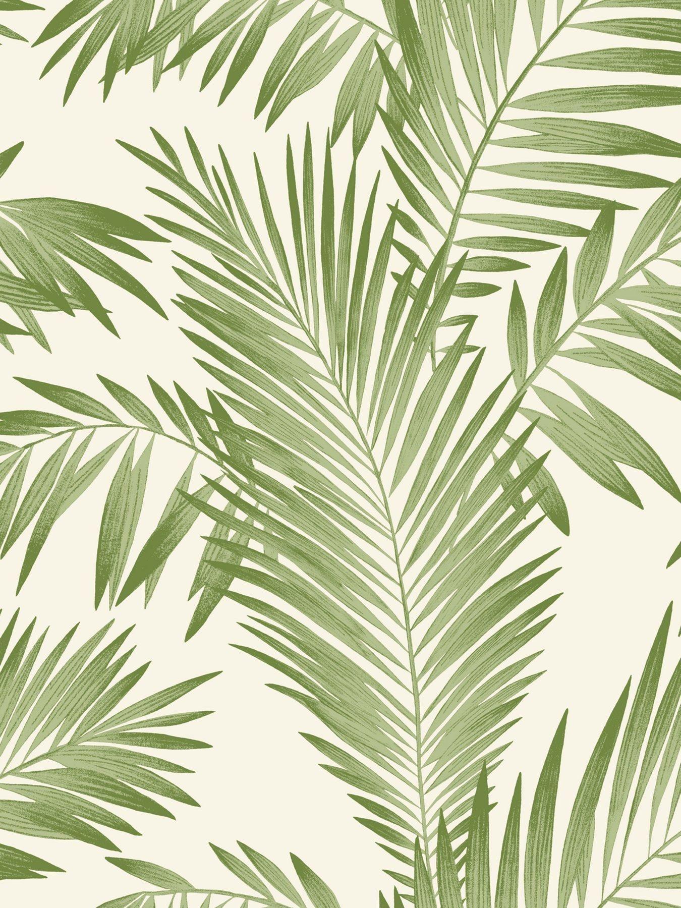 Tropical Palm Wallpapers - Top Free Tropical Palm Backgrounds ...