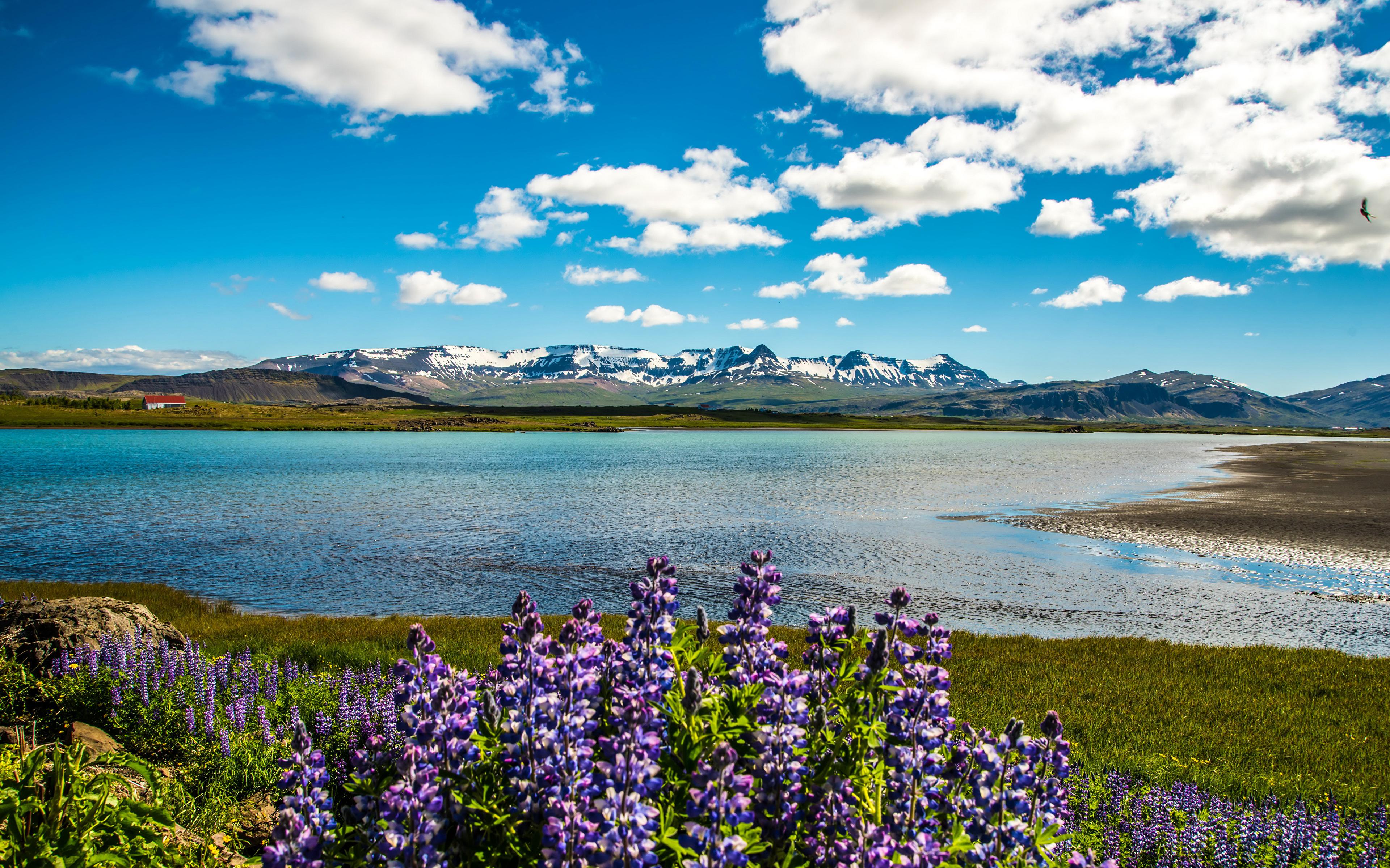 Iceland Summer Wallpapers - Top Free Iceland Summer Backgrounds ...