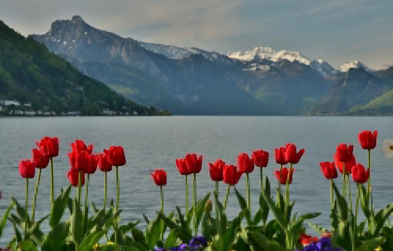 Austria Spring Wallpapers - Top Free Austria Spring Backgrounds ...
