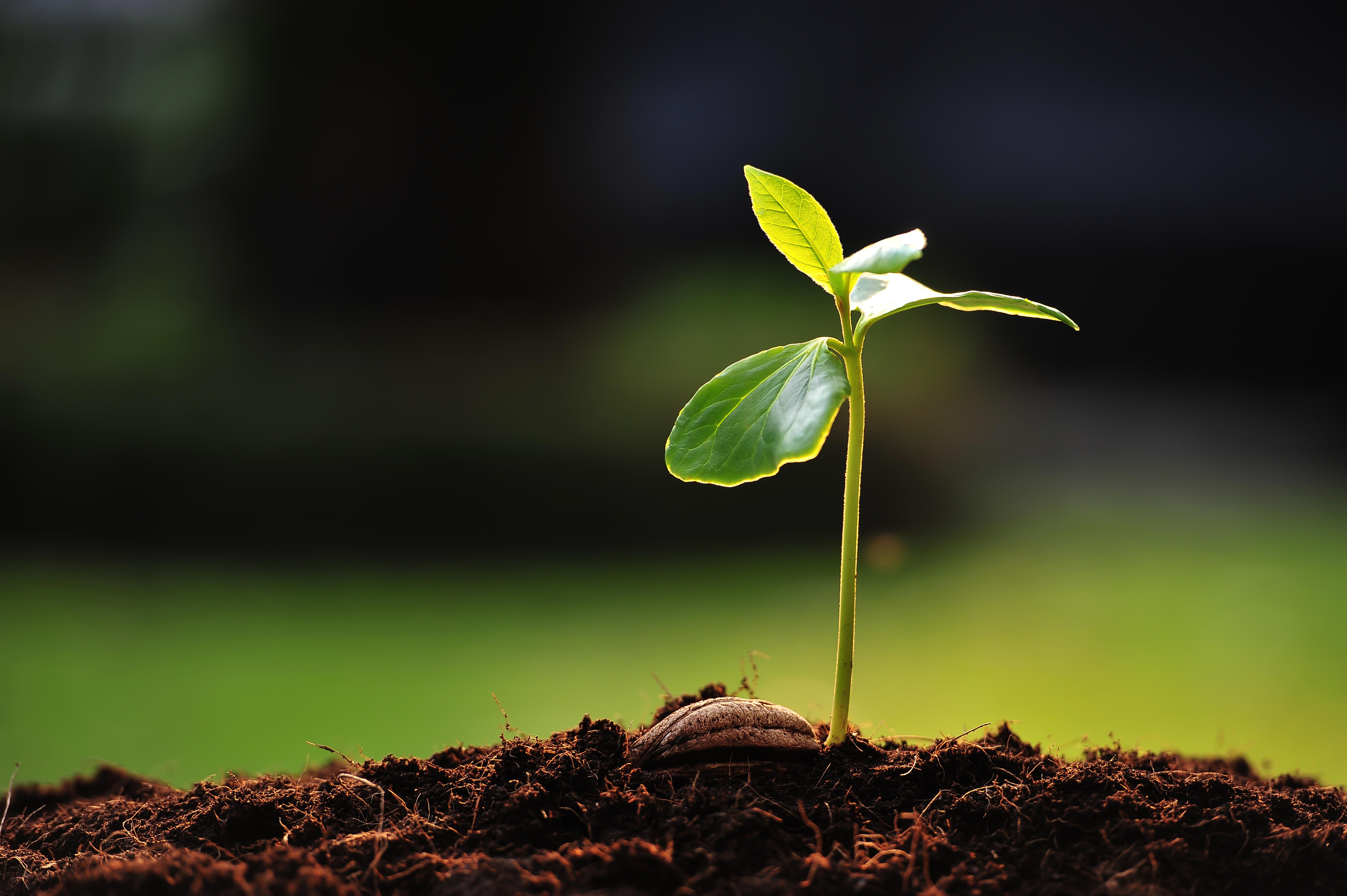 Nature and God Wallpapers - Top Free Nature and God Backgrounds ...