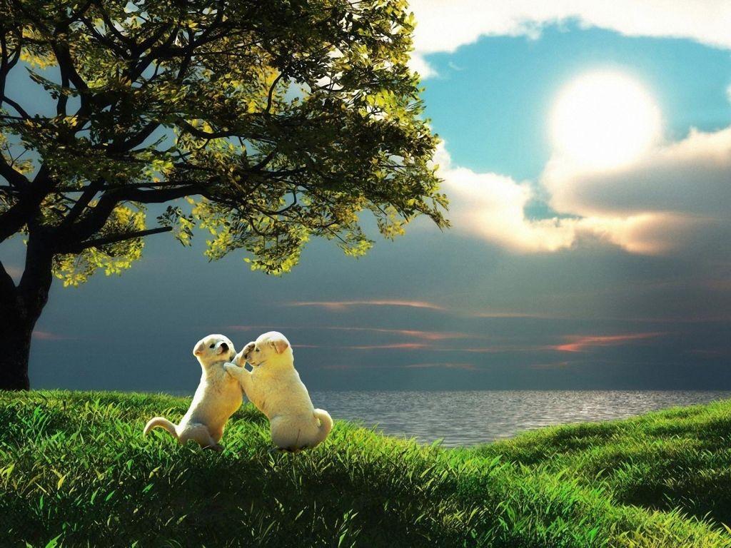 Nature and God Wallpapers - Top Free Nature and God Backgrounds ...