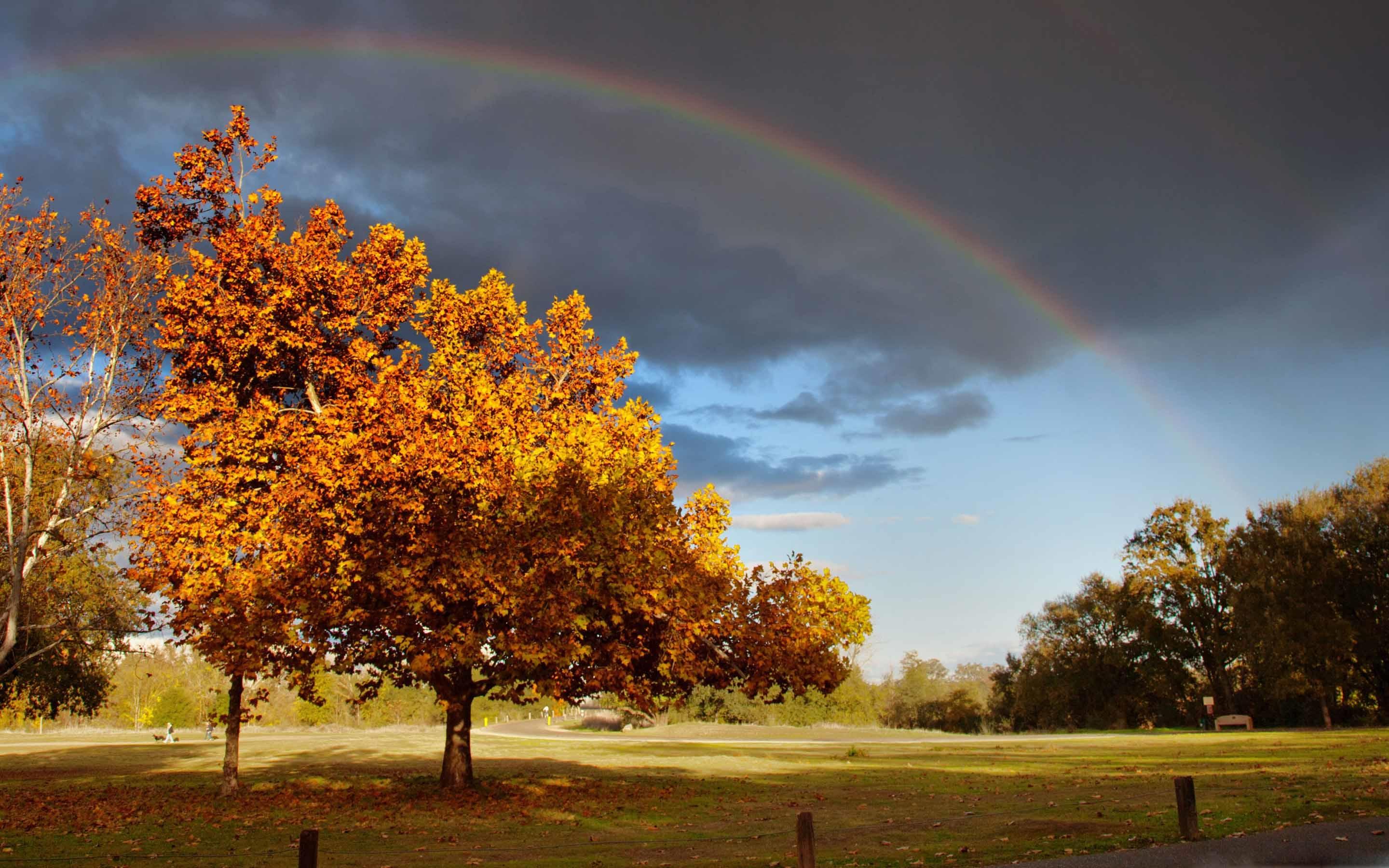 Double Rainbow Wallpapers - Top Free Double Rainbow Backgrounds ...