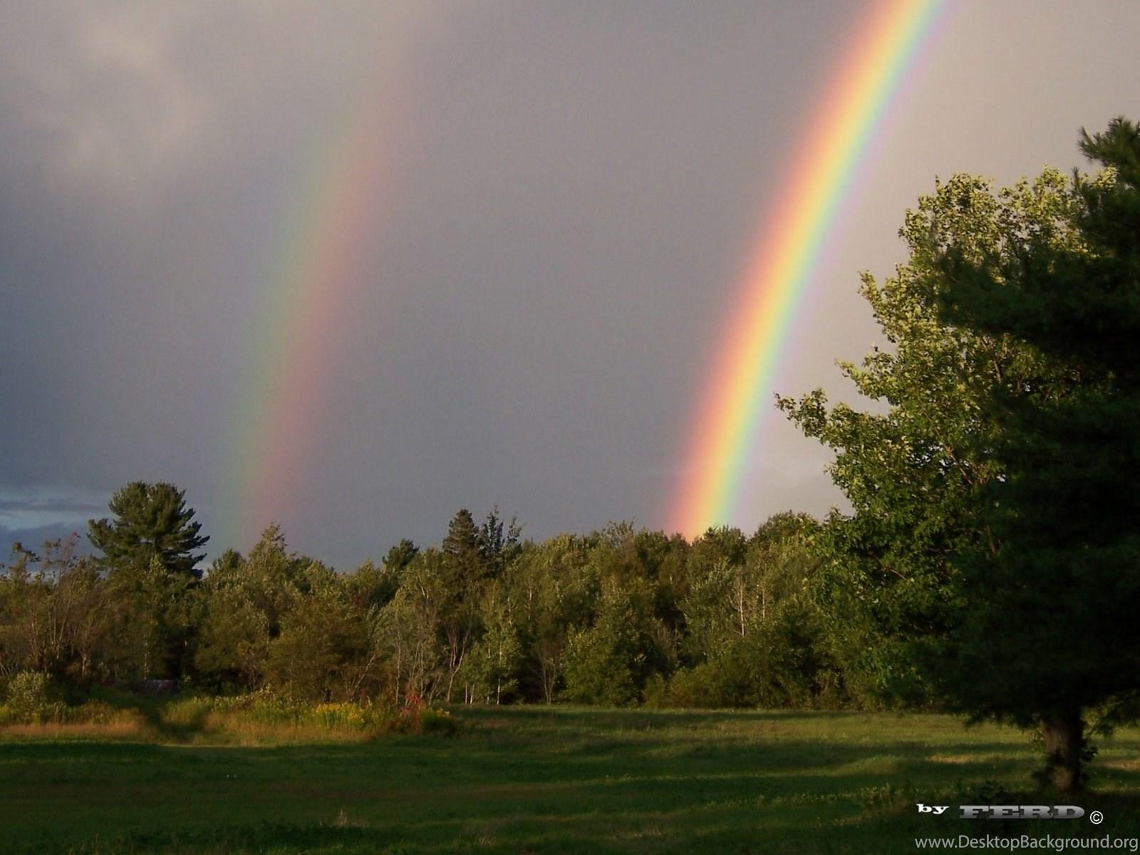 Double Rainbow Wallpapers - Top Free Double Rainbow Backgrounds - WallpaperAccess